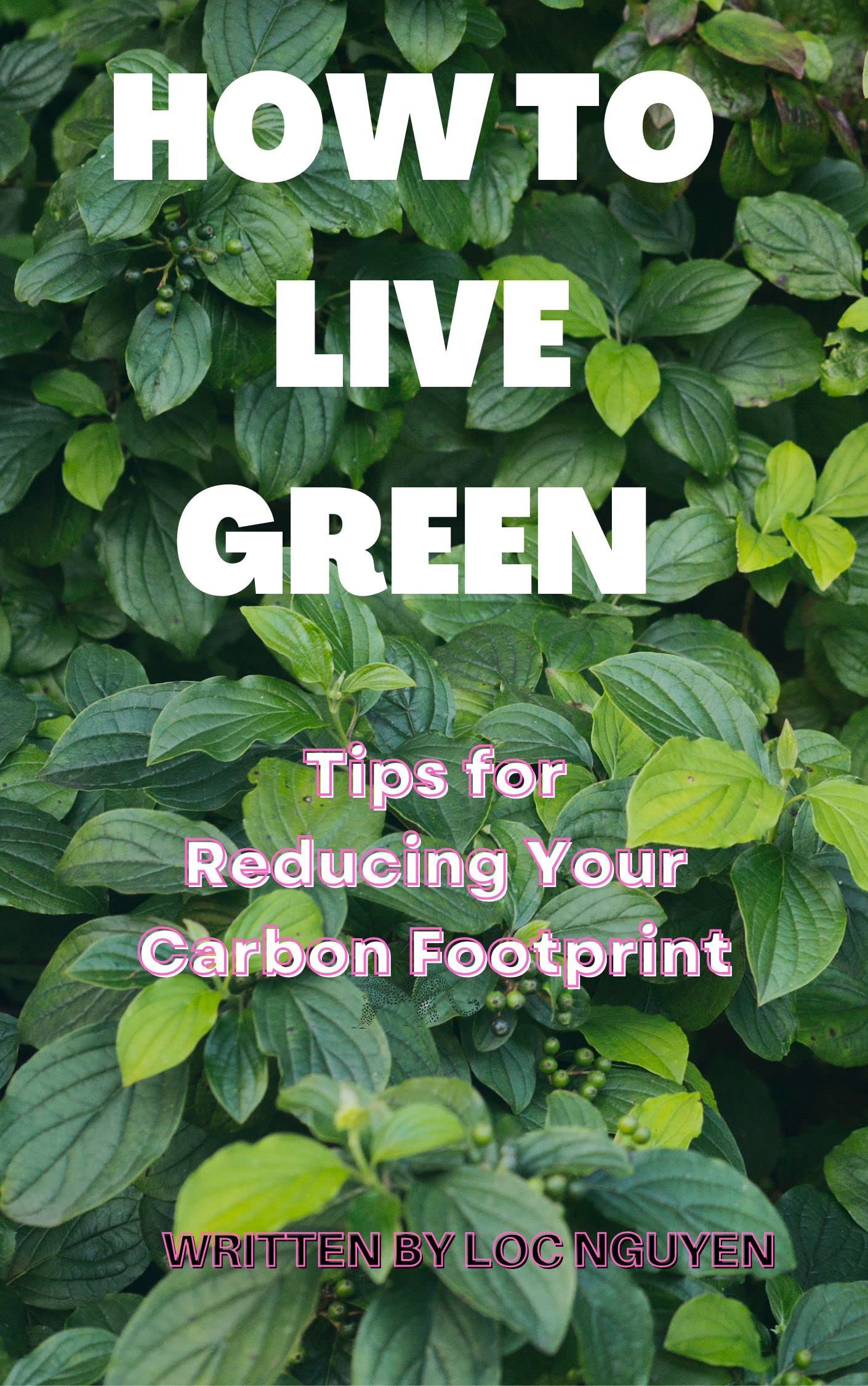 HOW TO LIVE GREEN: Tips for Reducing Your Carbon Footprint by Loc Xuan ...