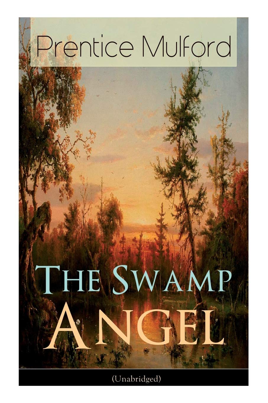 The Swamp Angel (Unabridged) by Prentice Mulford | Goodreads