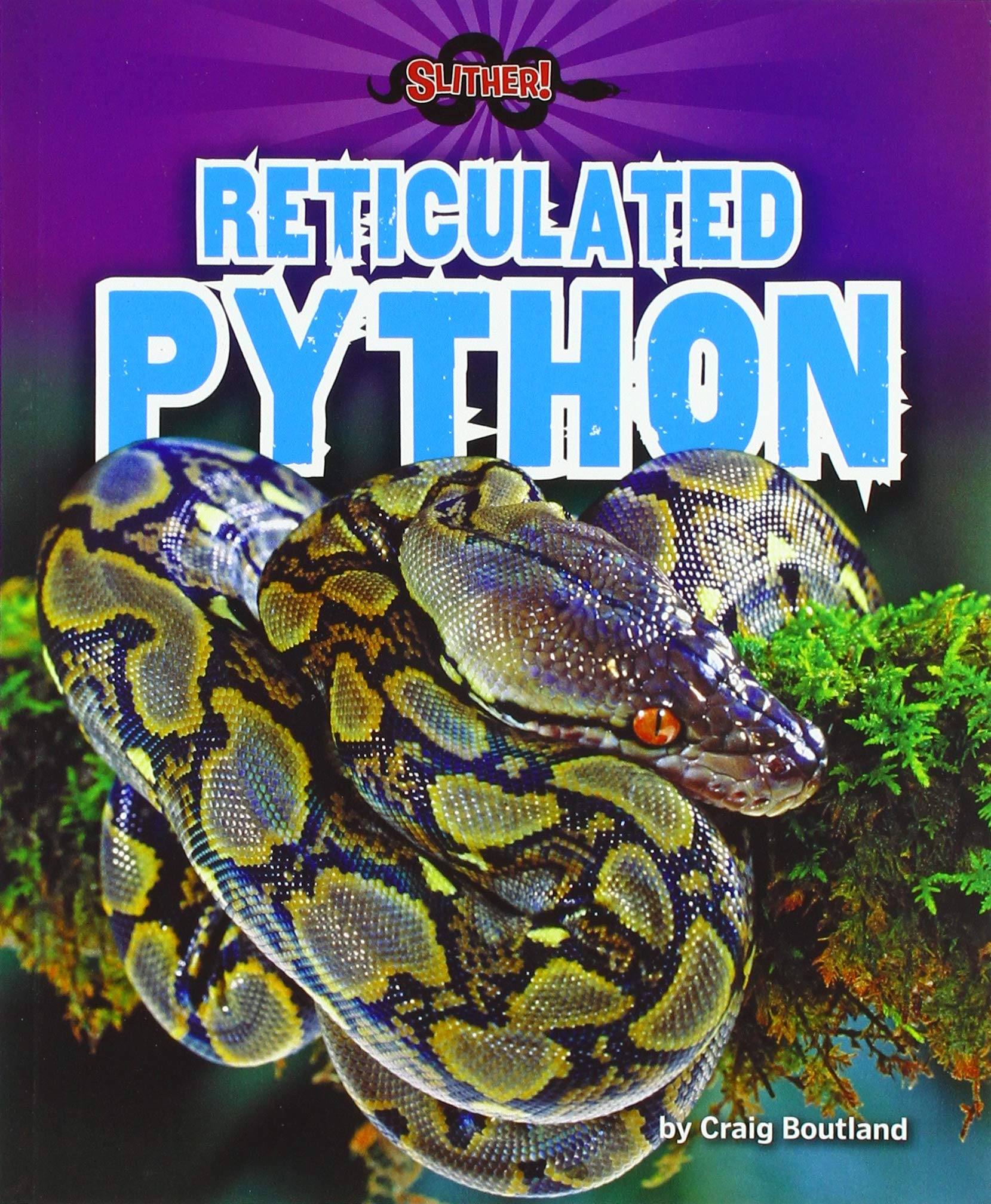 Reticulated Python - Non-Fiction Reading About Snakes for Grade 3 ...
