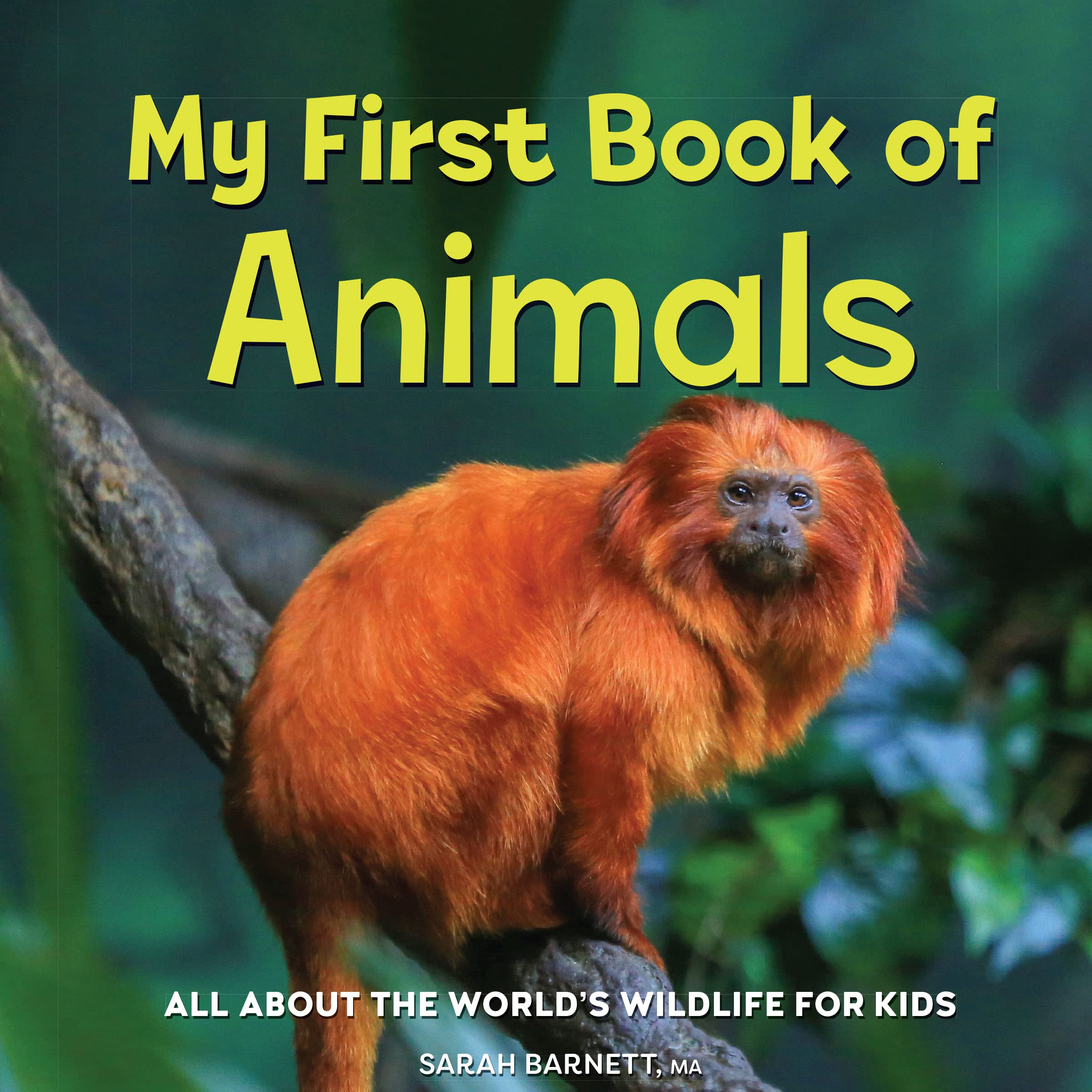 My First Book of Animals: All About the World's Wildlife for Kids by ...