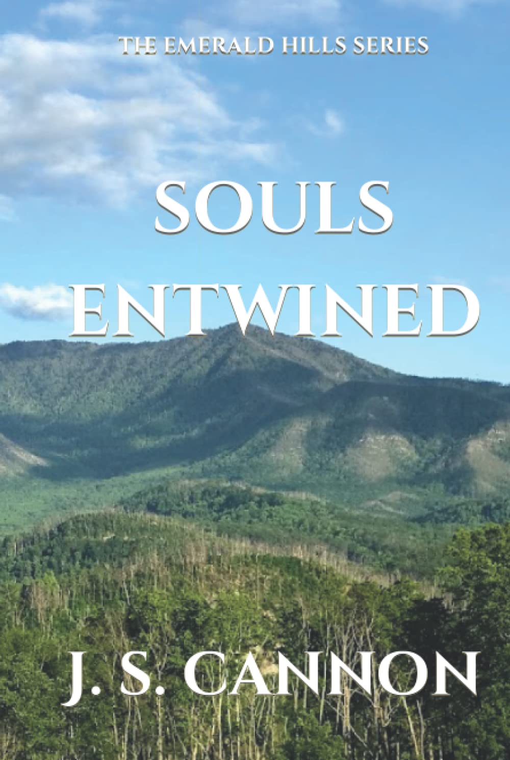 Souls Entwined by J.S. Cannon | Goodreads