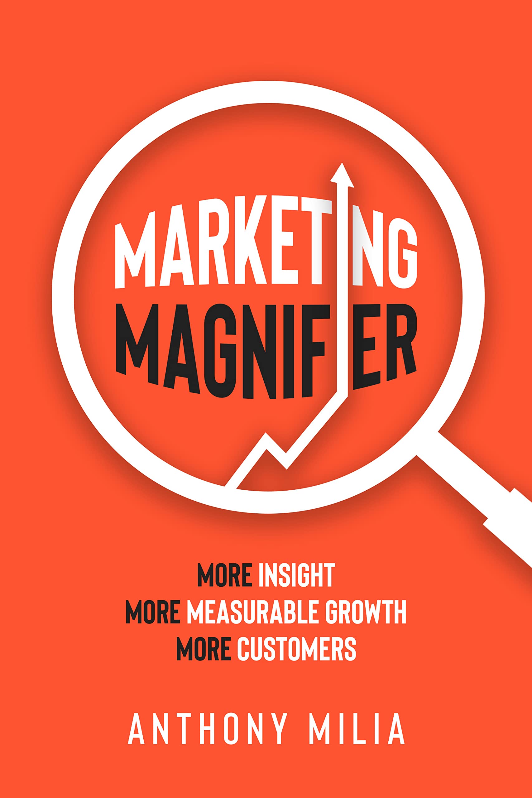 Marketing Magnifier: More Insight. More Measurable Growth. More ...