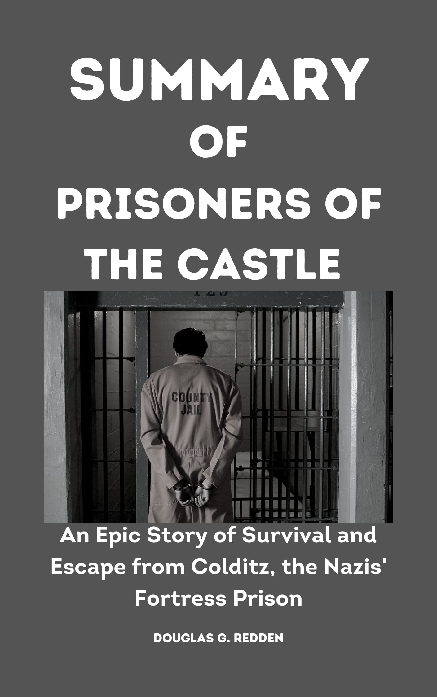 Summary of Prisoners of the Castle: An Epic Story of Survival and ...