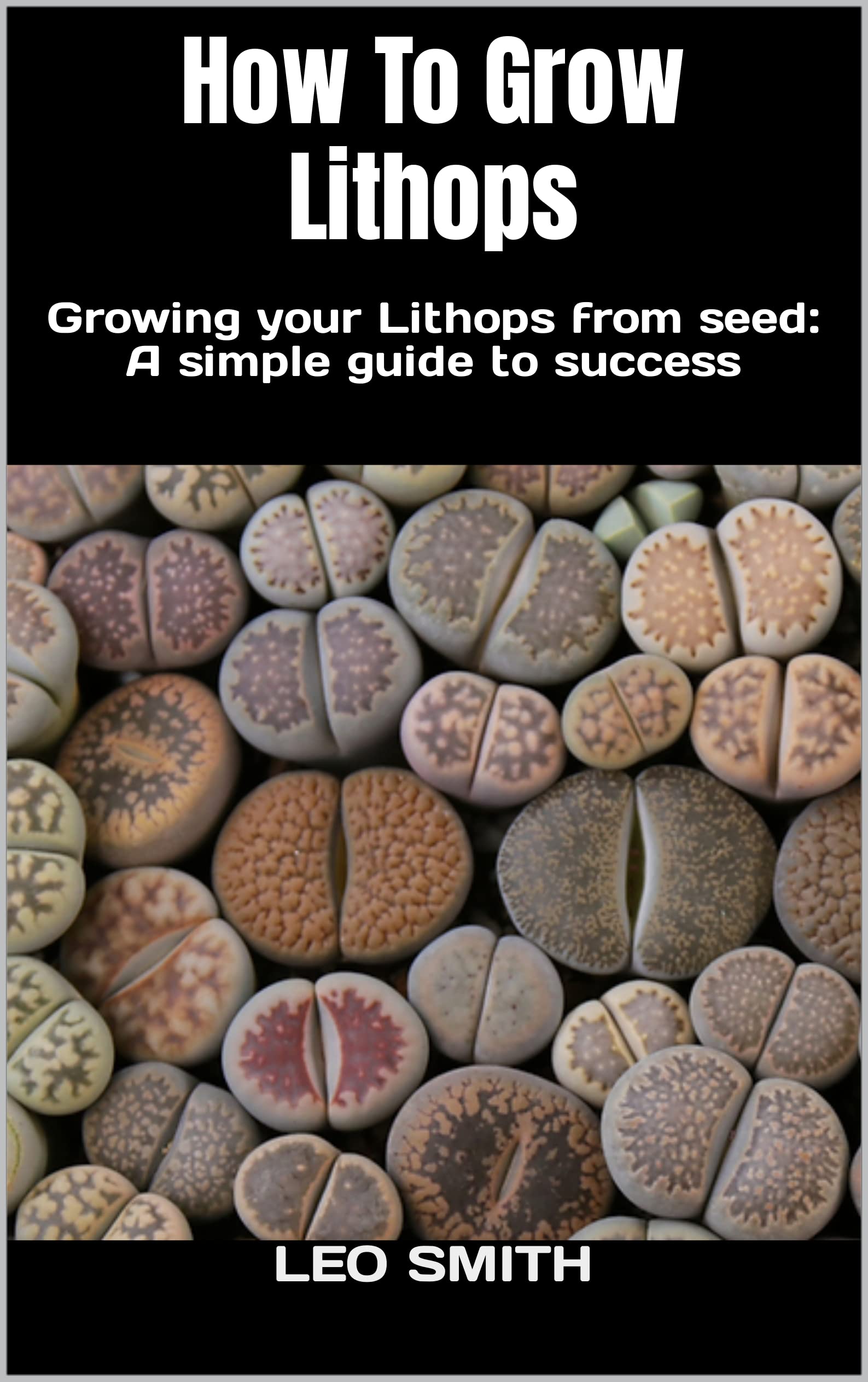 How To Grow Lithops : Growing your Lithops from seed: A simple guide to ...