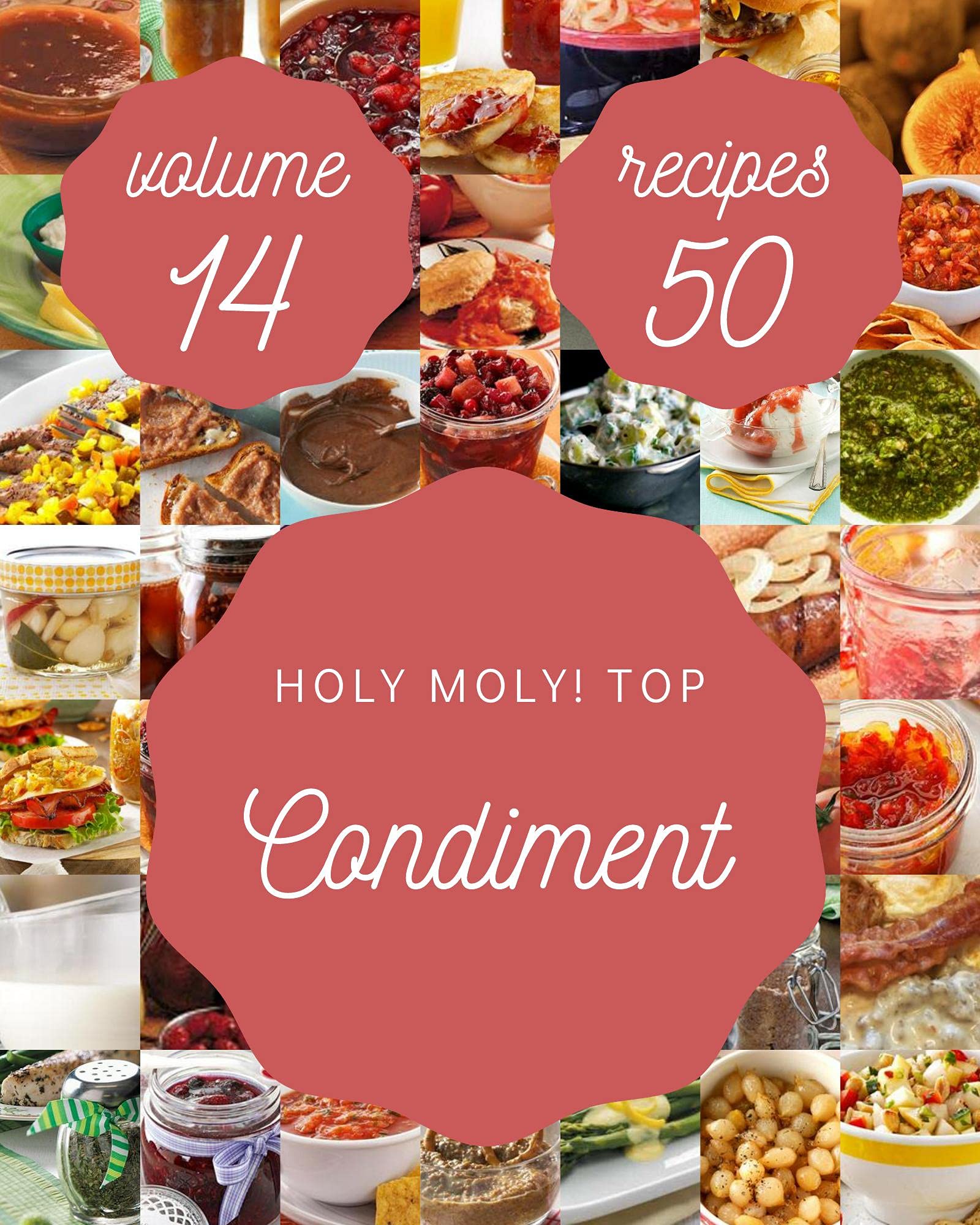 Holy Moly! Top 50 Condiment Recipes Volume 14: A Condiment Cookbook You ...
