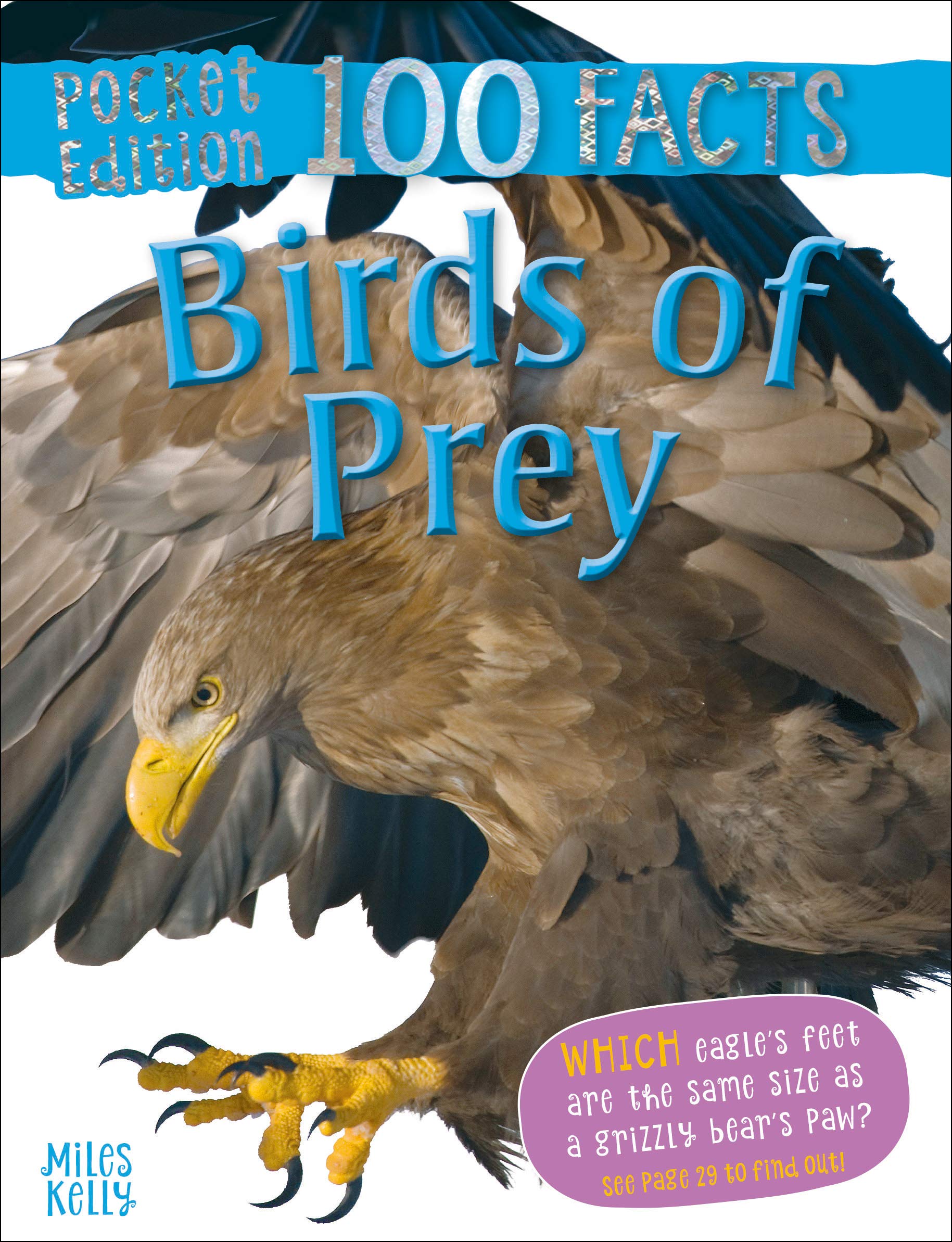 100 Facts Birds of Prey Pocket Edition by Camilla de la Bédoyère ...