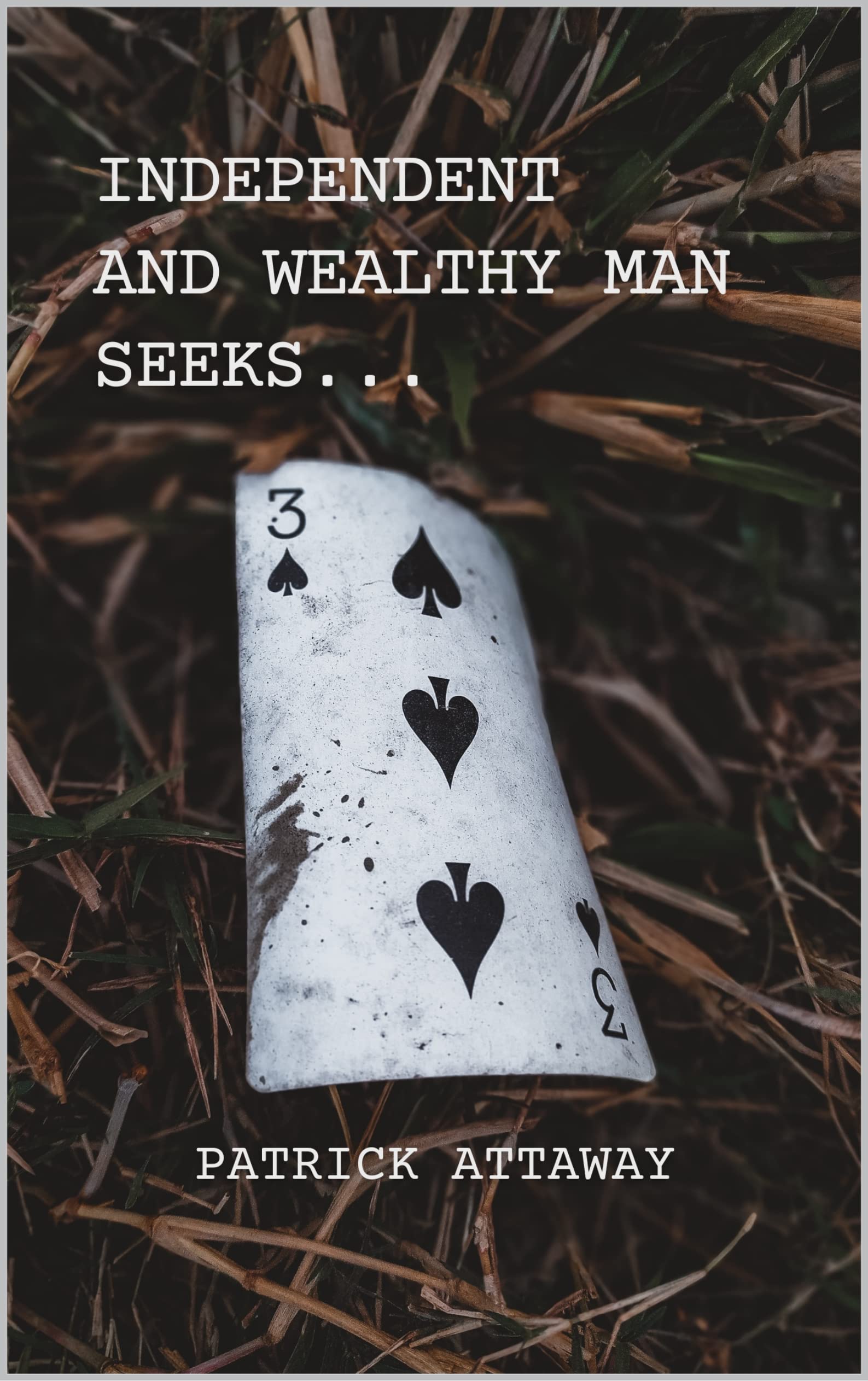 Independent and Wealthy Man Seeks: A Short Story by Patrick Attaway ...