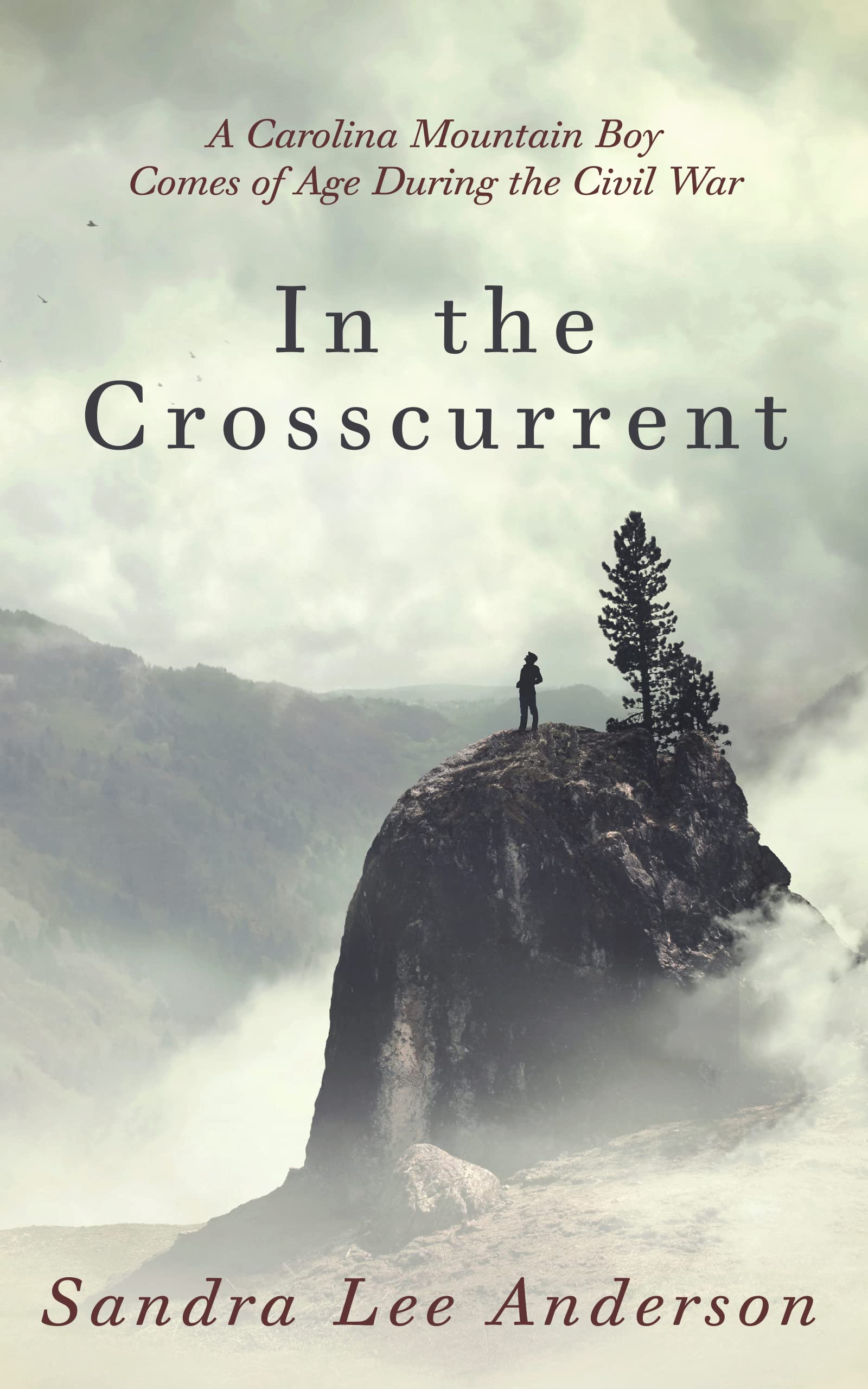 In the Crosscurrent: A Carolina Mountain Boy Comes of Age During the ...