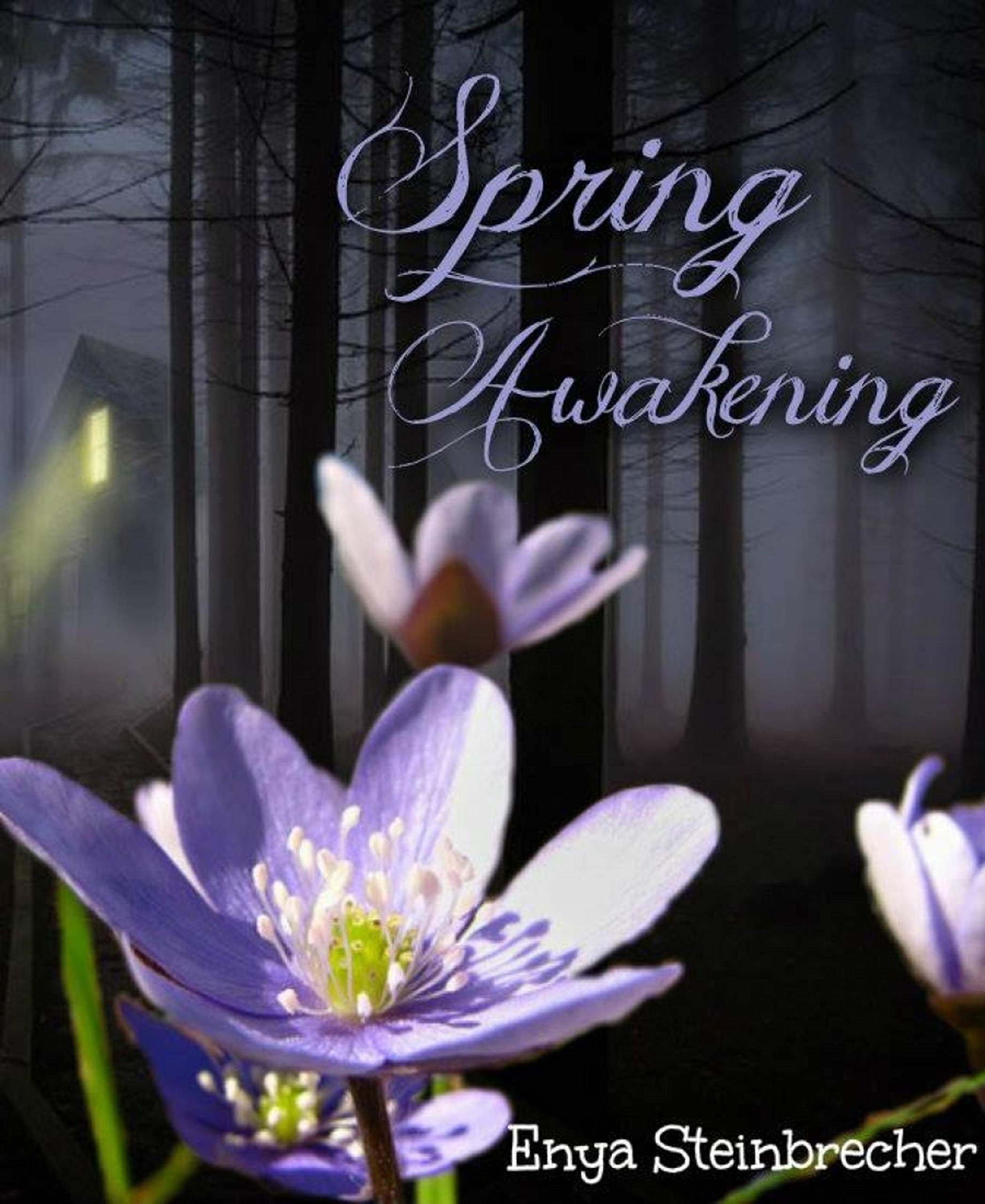 Spring Awakening by Enya Steinbrecher | Goodreads