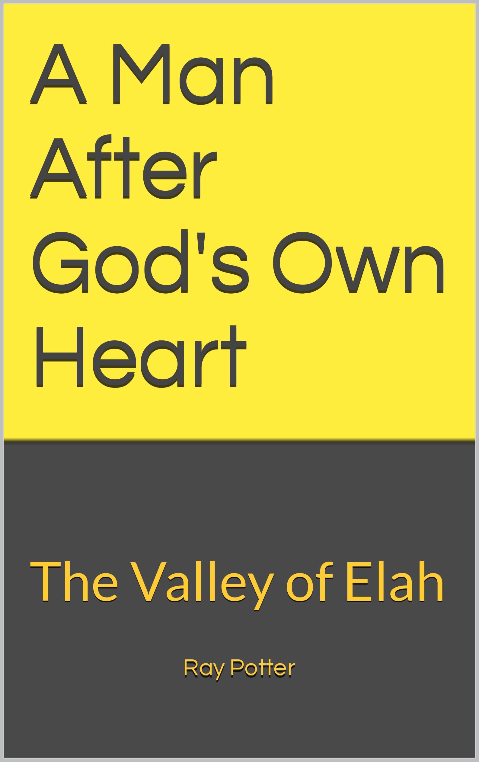 A Man After God's Own Heart: The Valley of Elah by Ray Potter | Goodreads