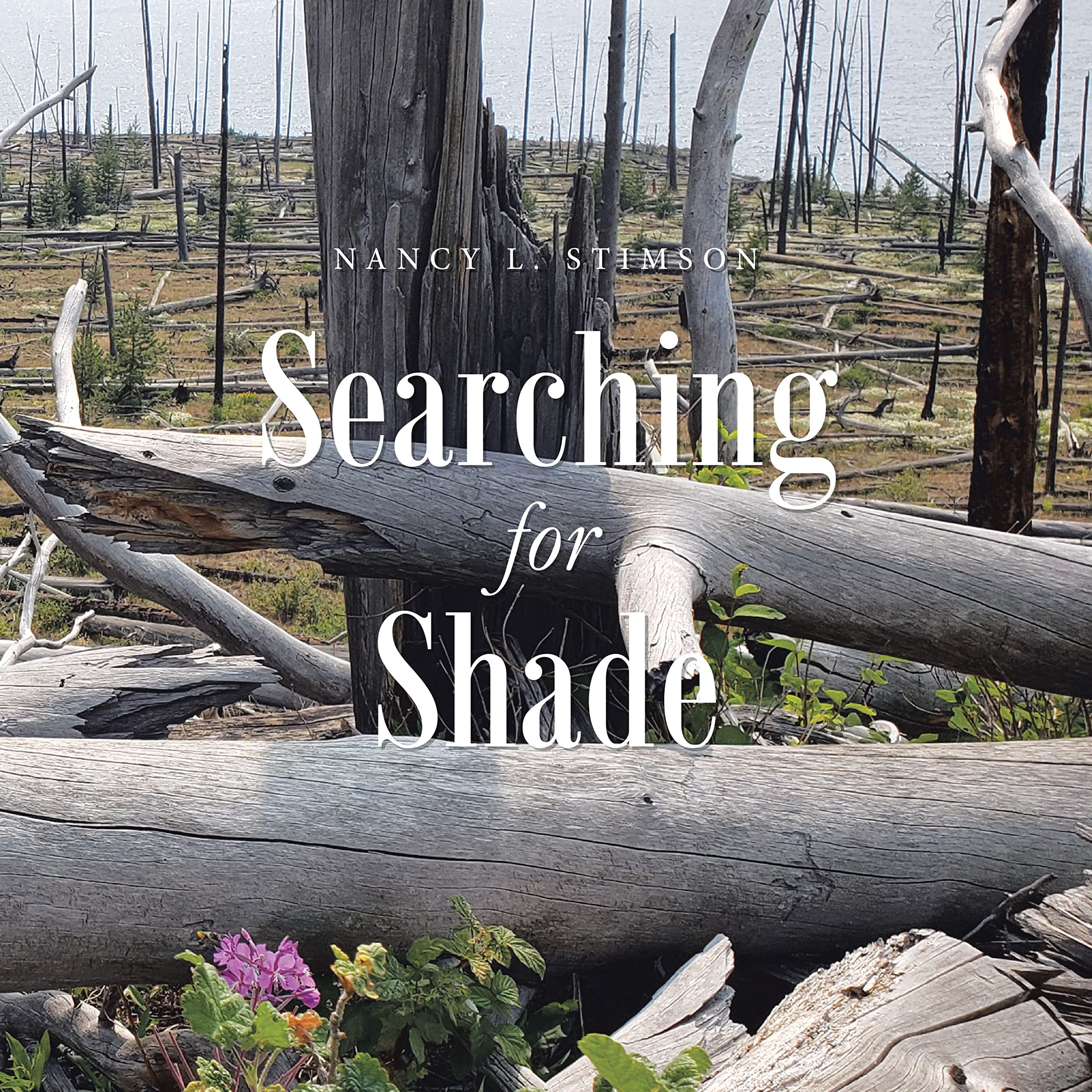 Searching for Shade by Nancy L Stimson | Goodreads