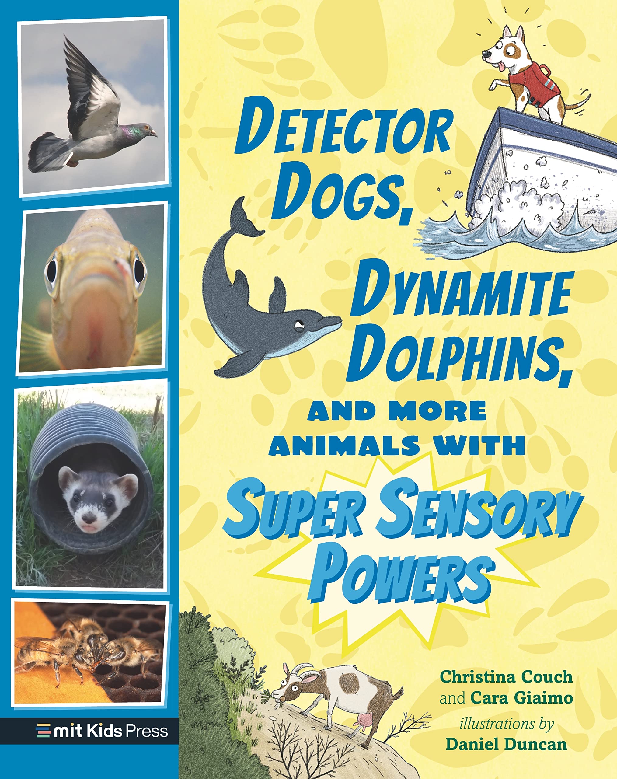 Detector Dogs, Dynamite Dolphins, and More Animals with Super Sensory ...