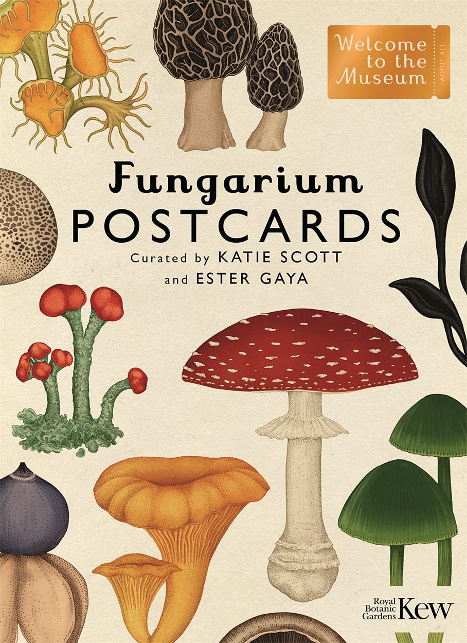 Fungarium Postcards (Welcome To The Museum) by Katie Scott | Goodreads