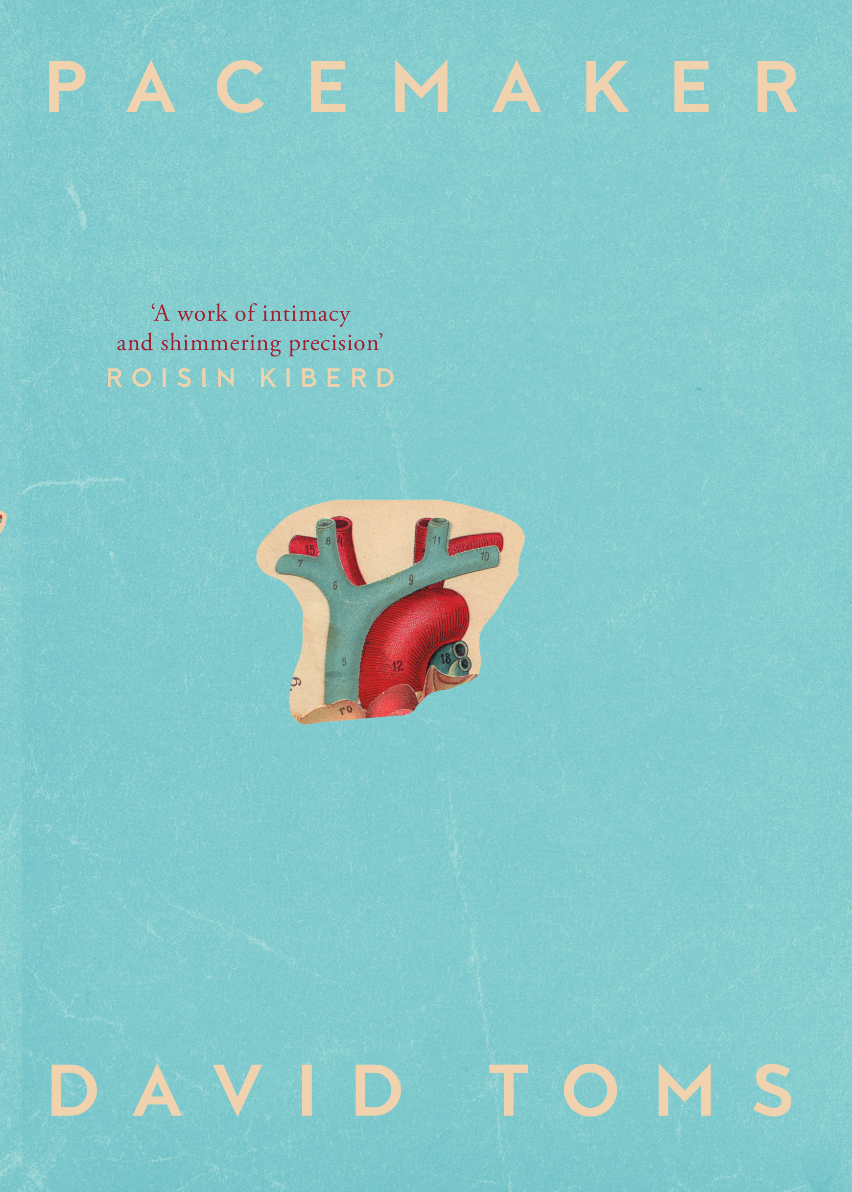 Pacemaker by David Toms | Goodreads