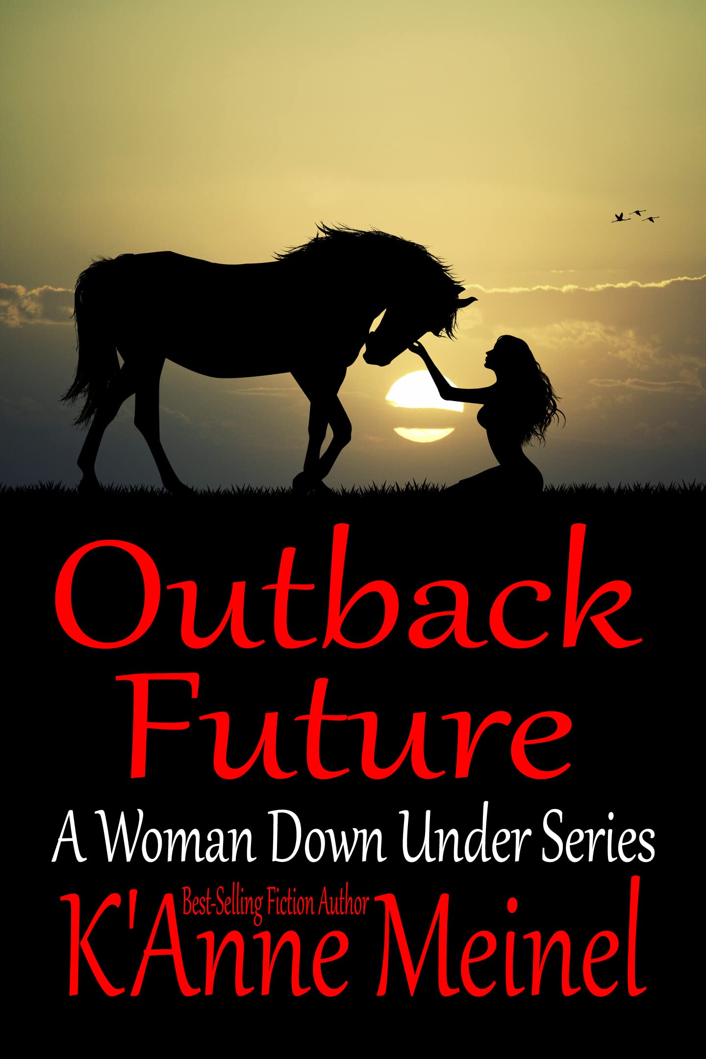 Outback Future (A Woman Down Under Series Book 7) by K'Anne Meinel ...