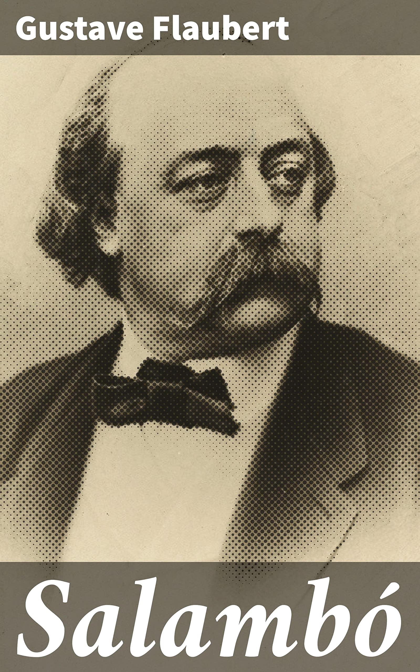 Salambó: Intriga y pasiones en la antigua Cartago by Gustave Flaubert ...