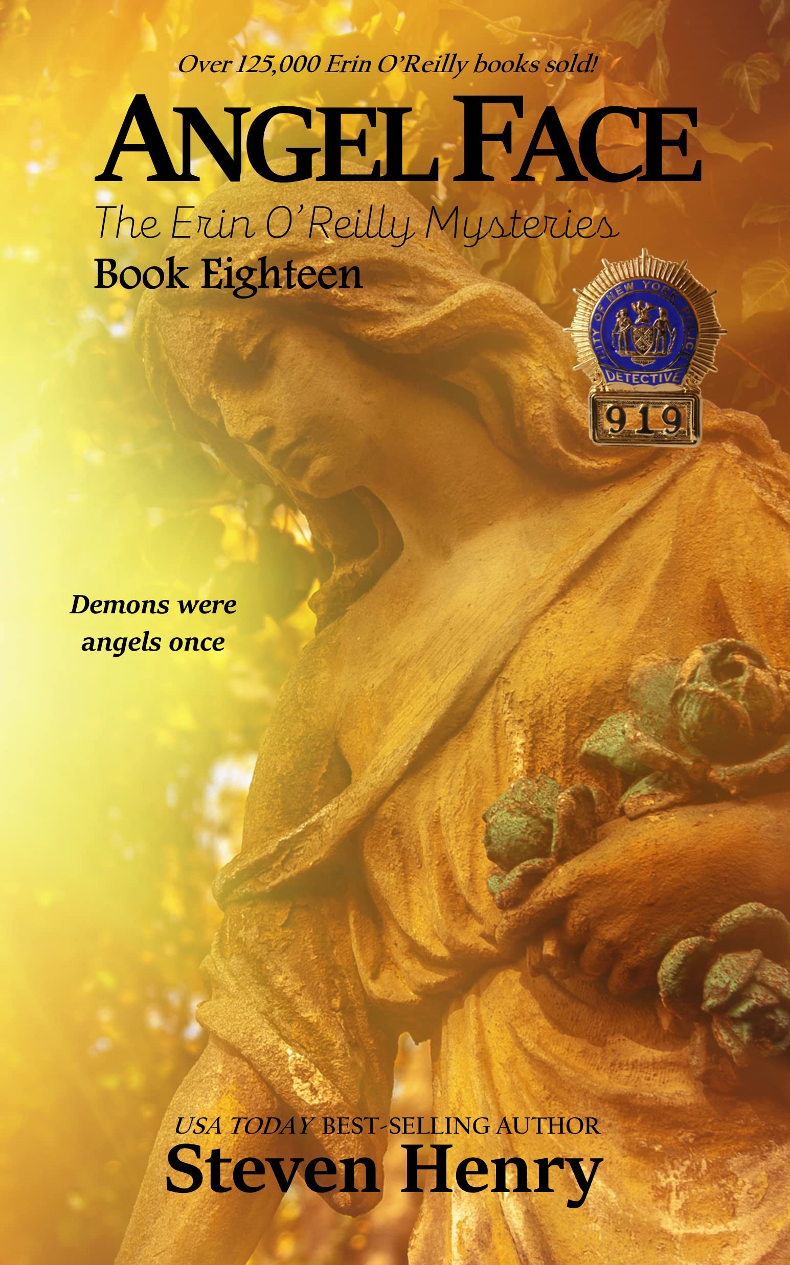 Angel Face (Erin O'Reilly Mysteries #18) by Steven Henry | Goodreads