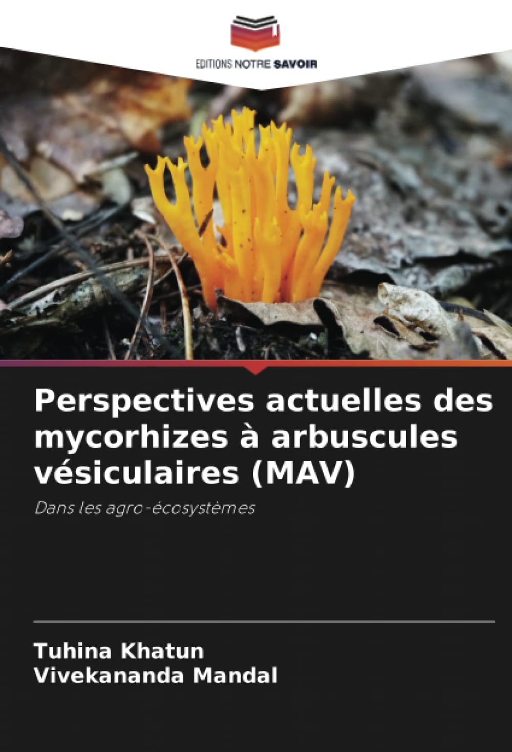 Perspectives actuelles des mycorhizes à arbuscules vésiculaires (MAV ...