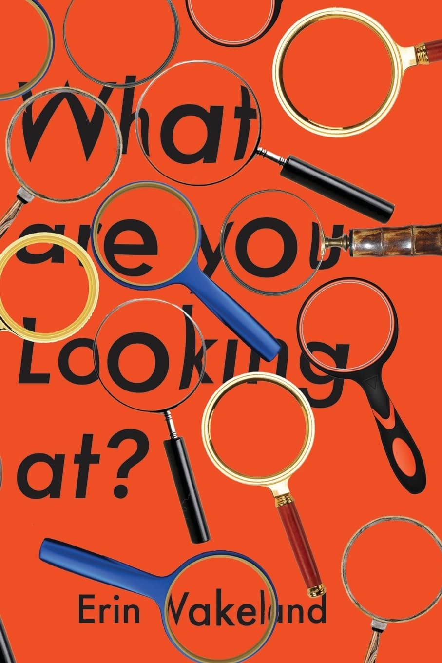 What Are You Looking At? by Erin Wakeland | Goodreads
