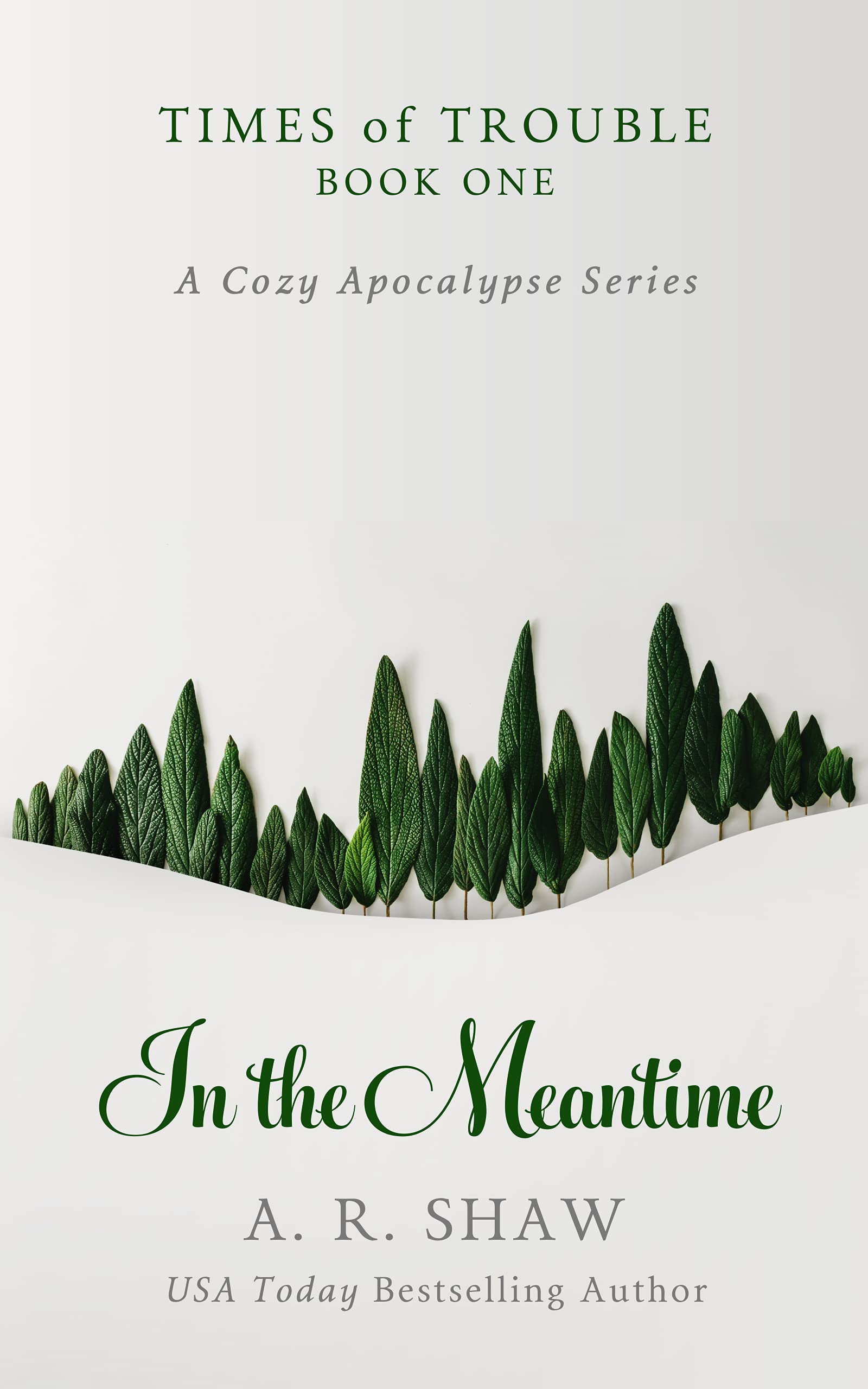 In the Meantime (Times of Trouble #1) by A.R. Shaw | Goodreads