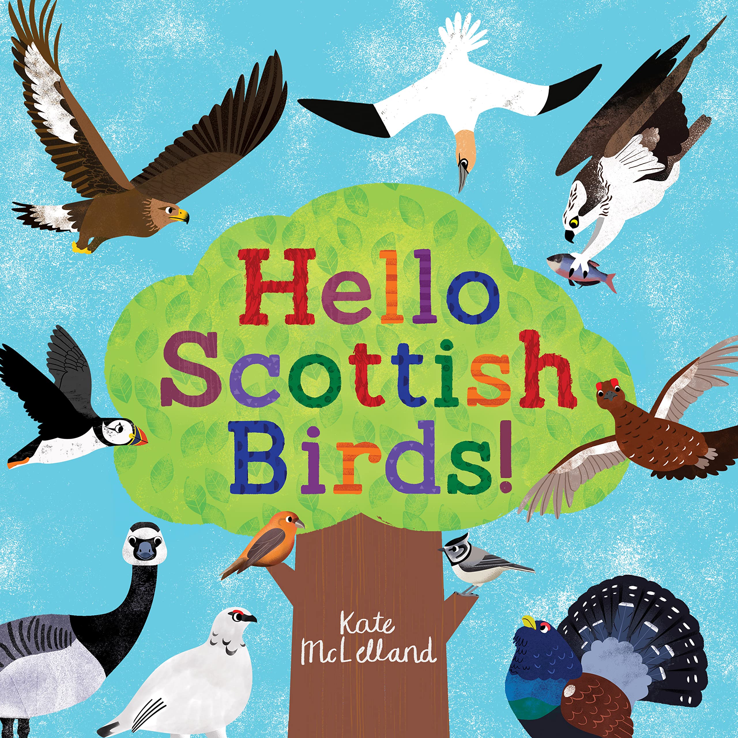 Hello Scottish Birds (Picture Kelpies) by Kate McLelland | Goodreads