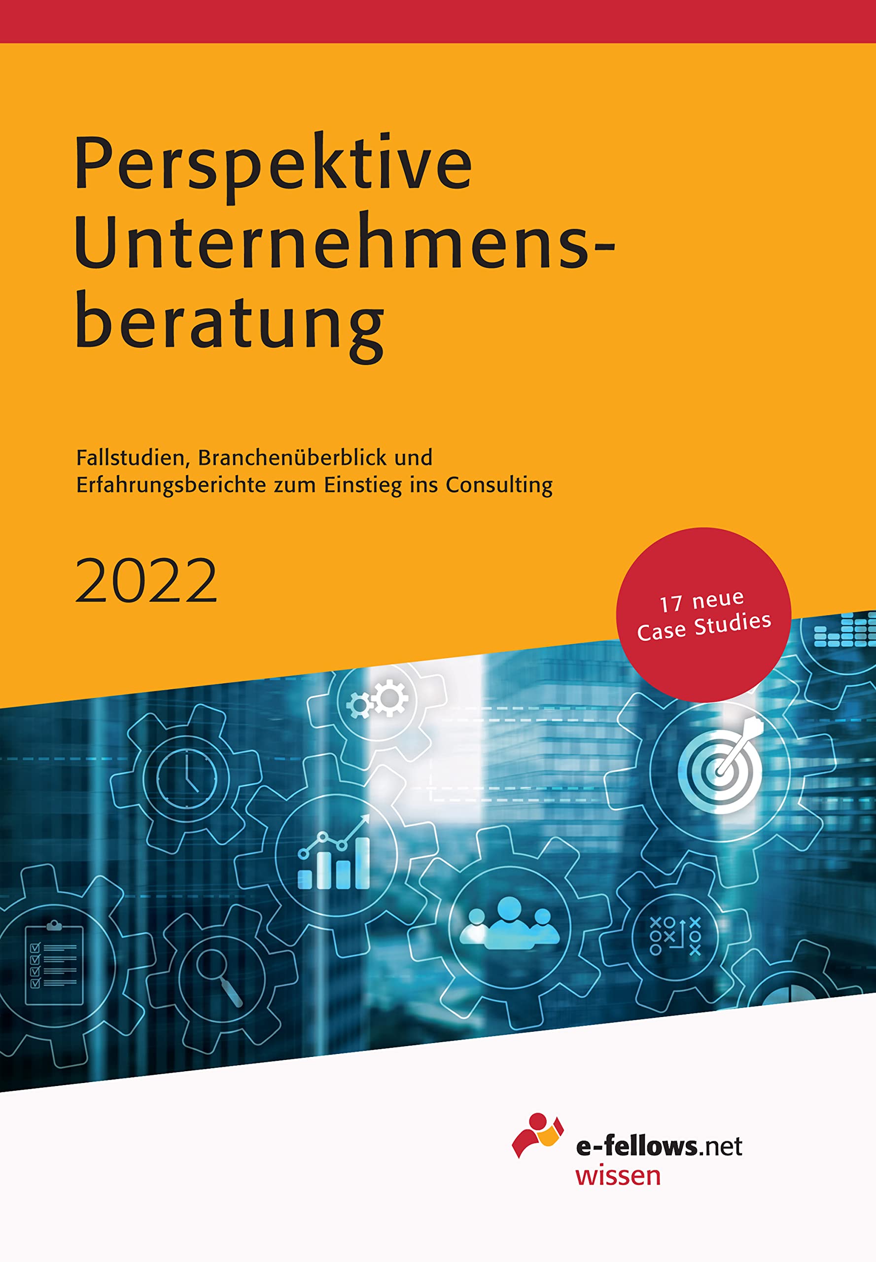 Perspektive Unternehmensberatung 2022: Fallstudien, Branchenüberblick und Erfahrungsberichte zum ...