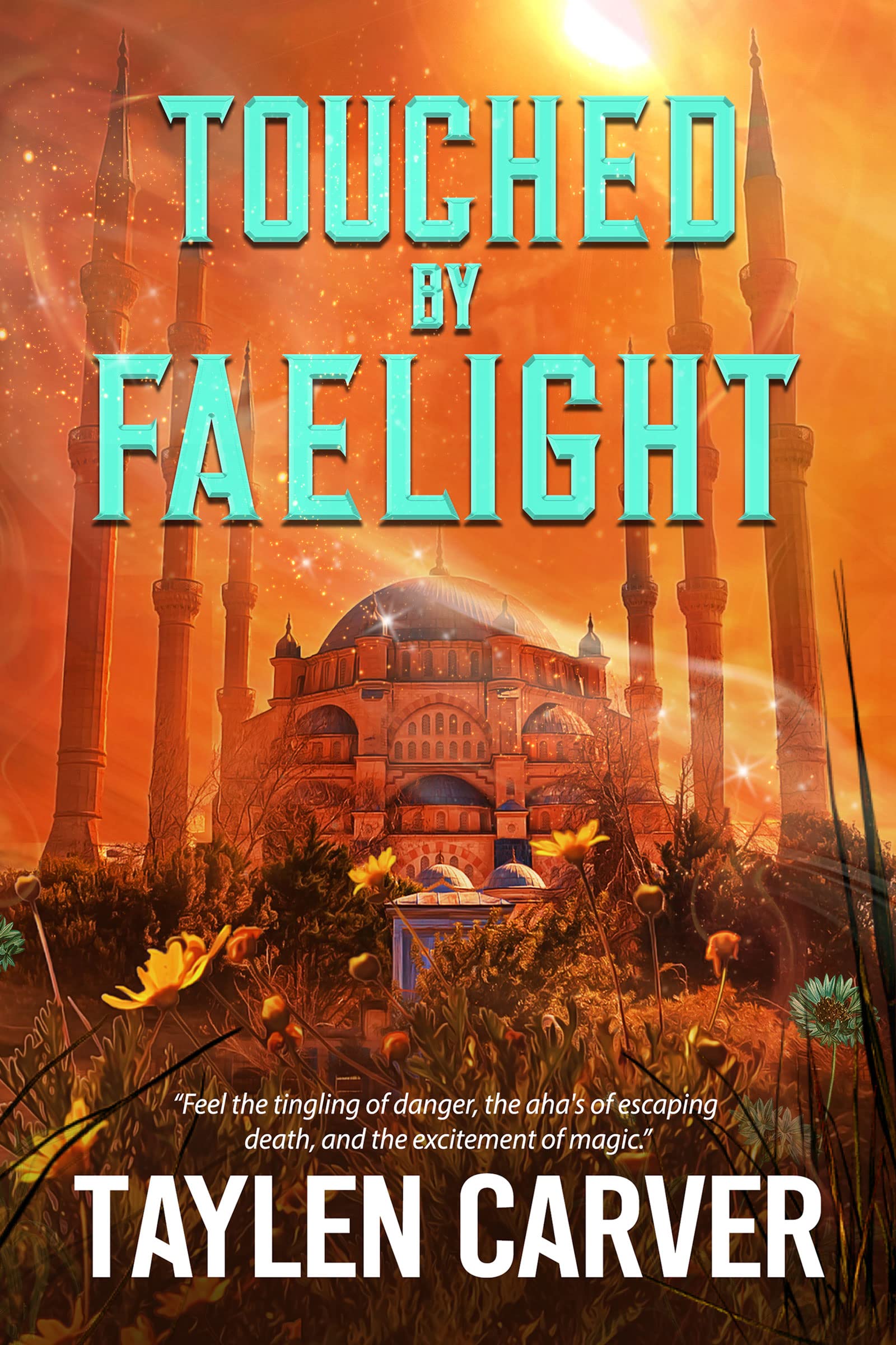 Touched By Faelight by Taylen Carver | Goodreads