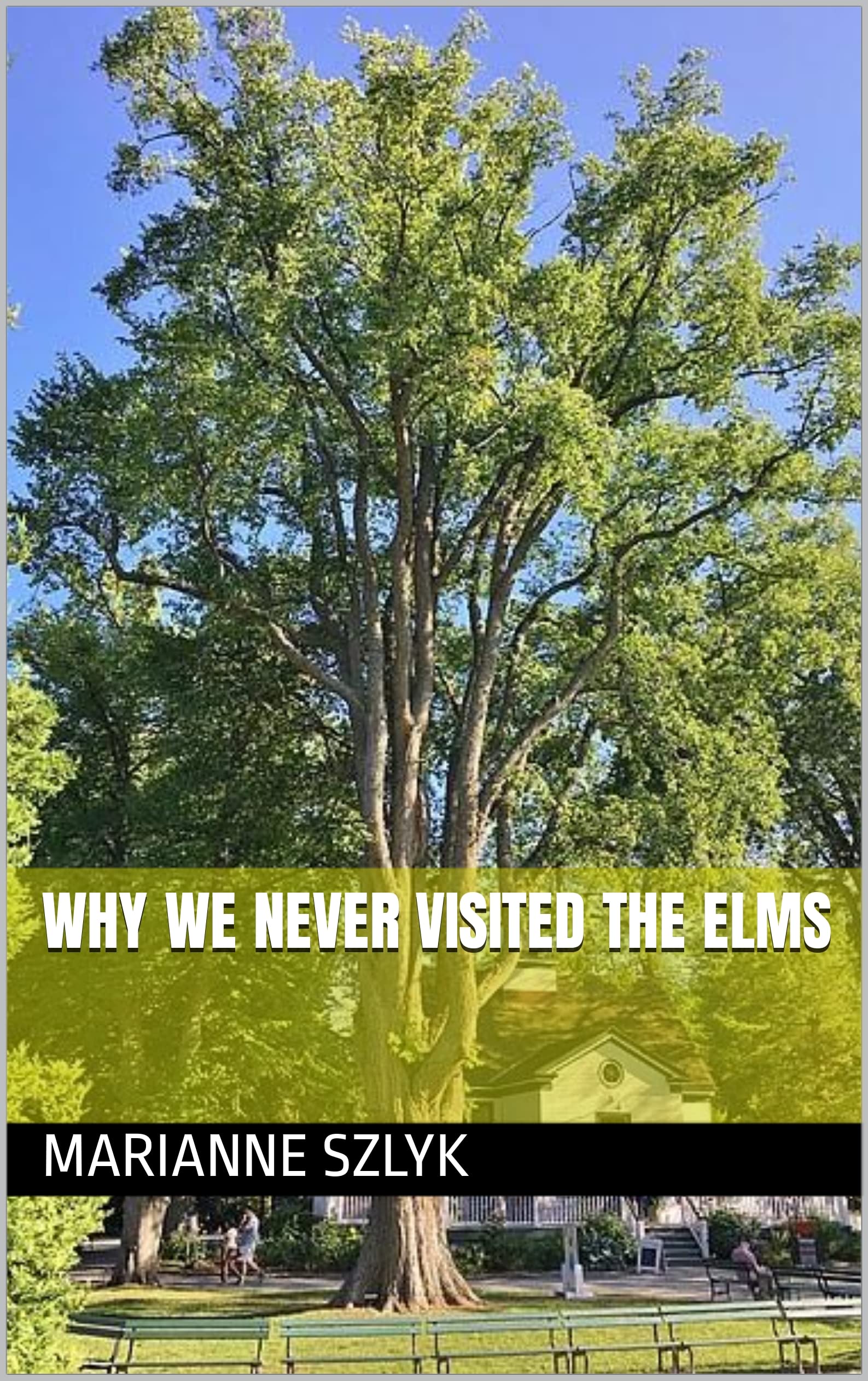 Why We Never Visited the Elms by Marianne Szlyk | Goodreads