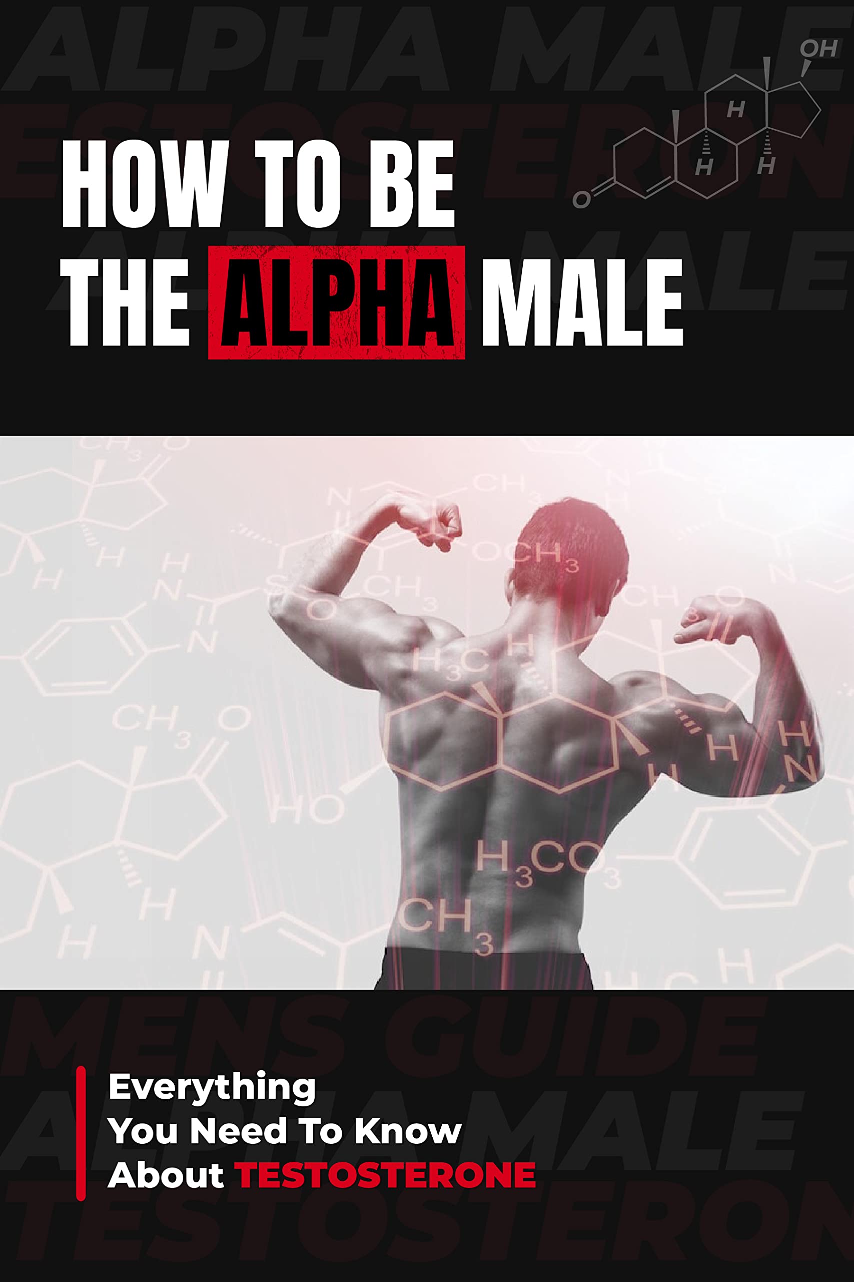 How to be the Alpha Male - Everything you need to know about ...