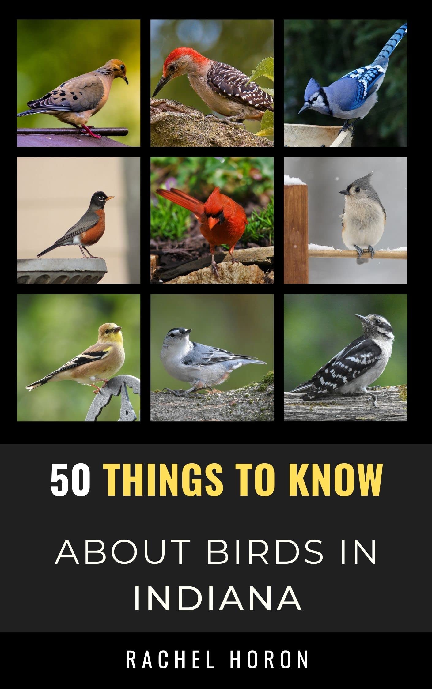 50 Things to Know About Birds in Indiana : Birds in the Crossroads of ...