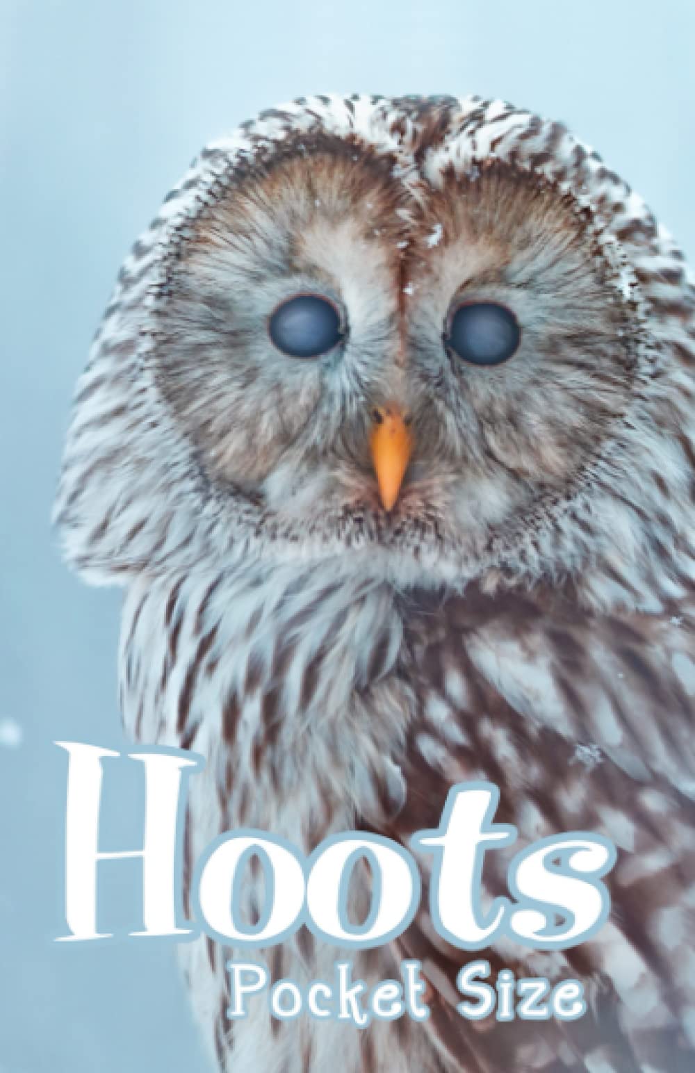 Hoots: Pocket Size Grayscale Coloring Book for Adults and Teens filled ...