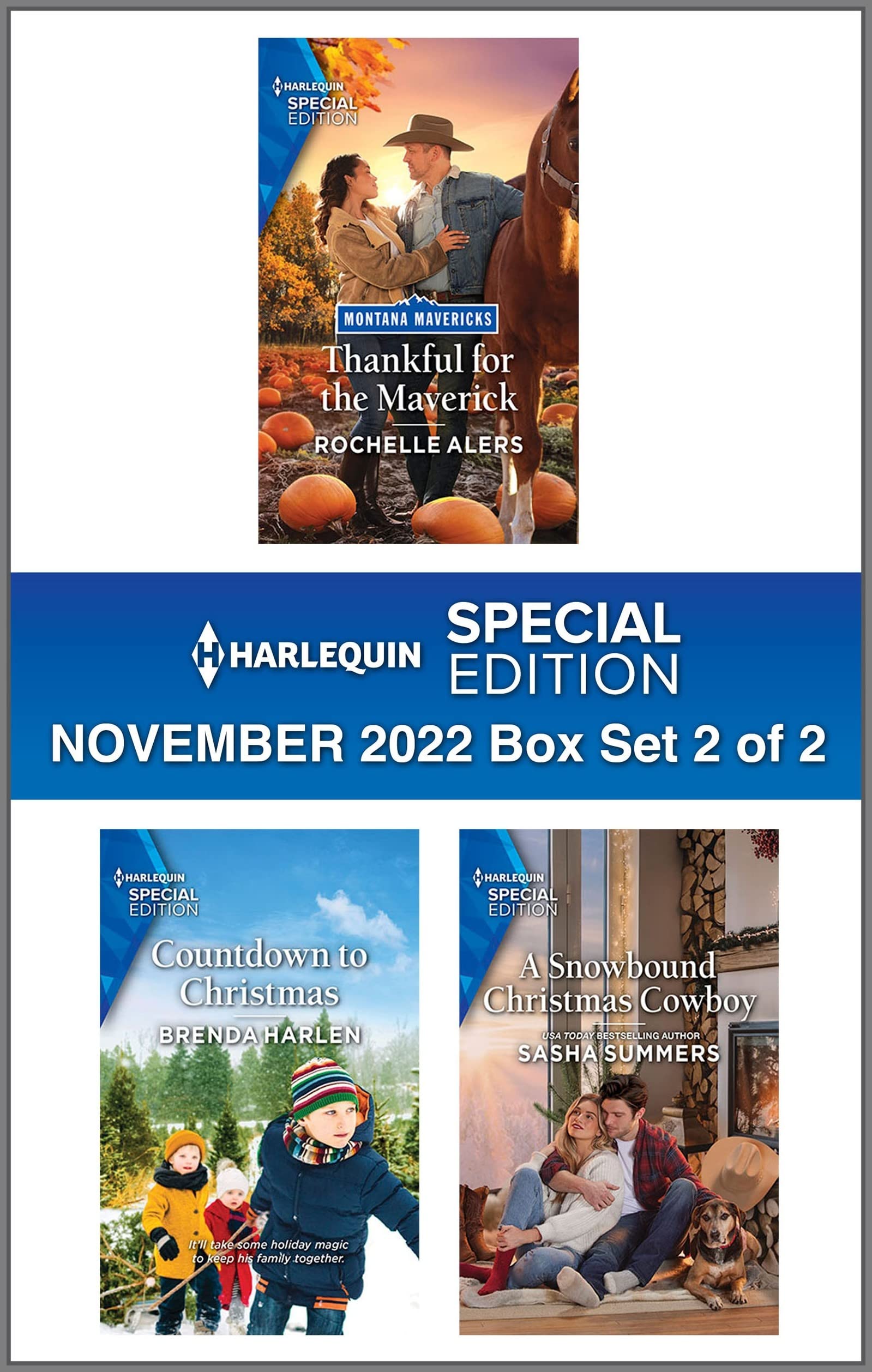 Harlequin Special Edition November 2022 - Box Set 2 of 2: A Black ...