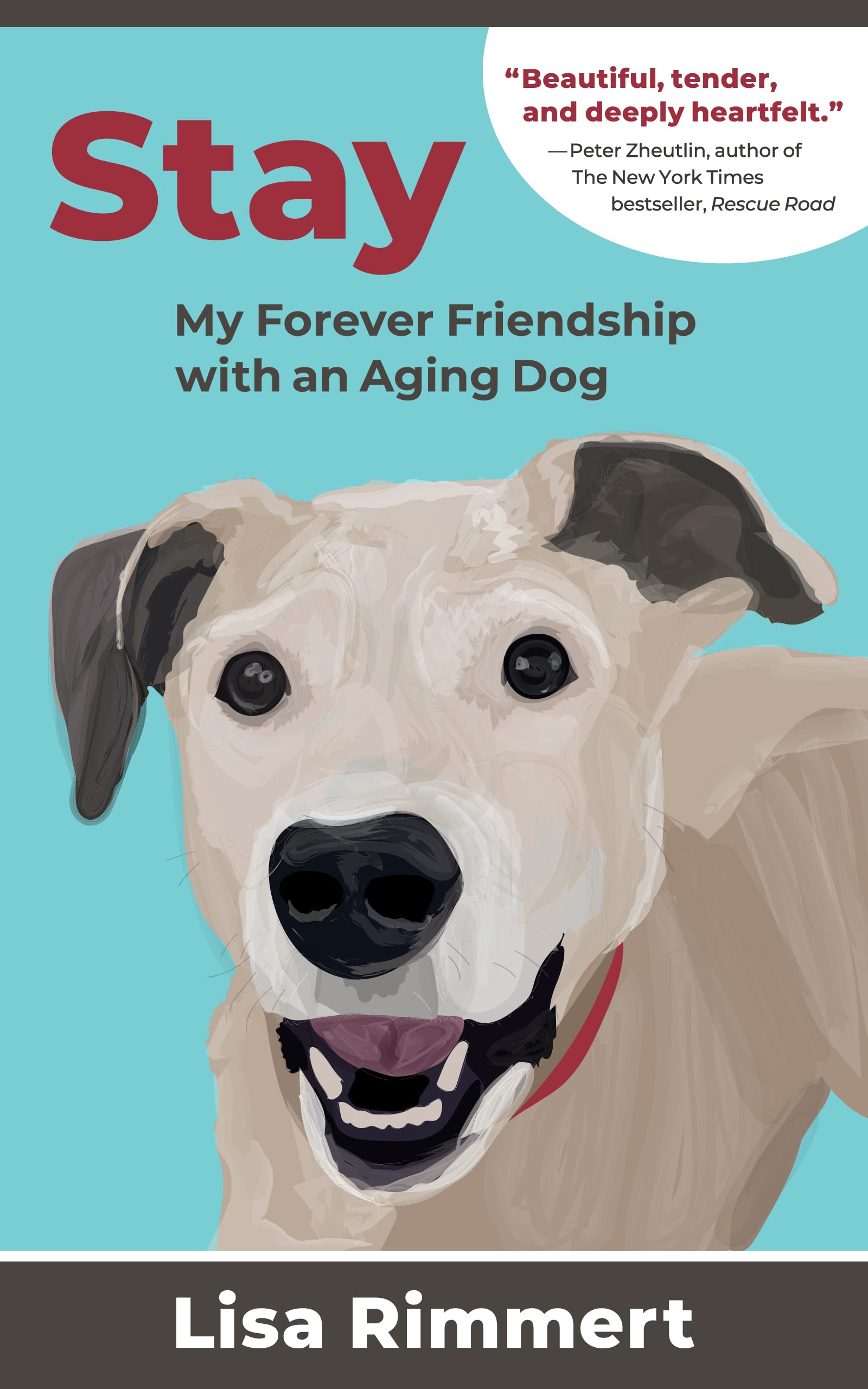 Stay: My Forever Friendship with an Aging Dog by Lisa Rimmert | Goodreads
