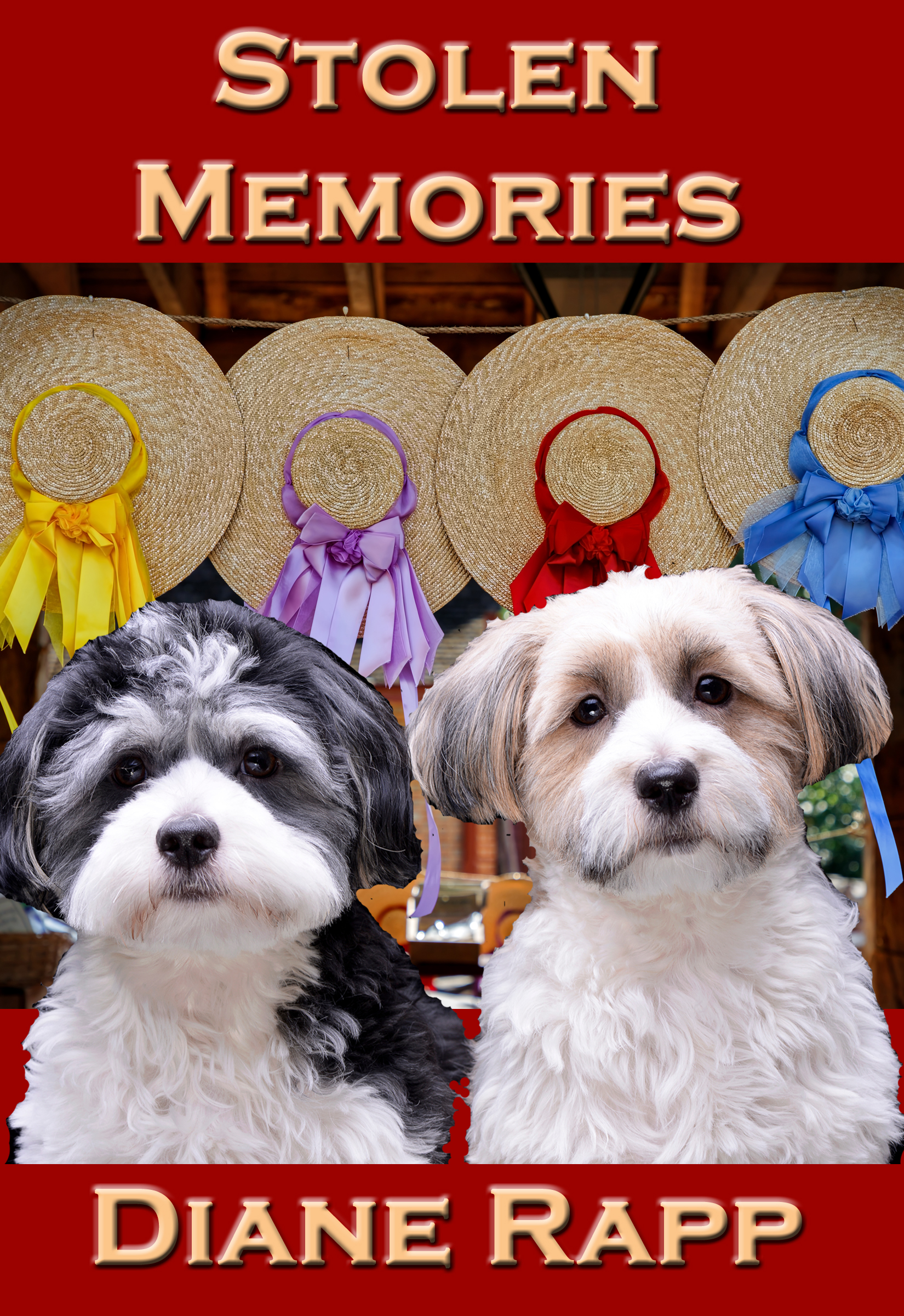 Stolen Memories (Sidekicks Mysteries 2) by Diane Rapp | Goodreads