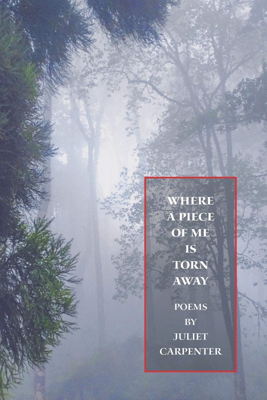 Where a Piece of Me is Torn Away by Juliet Carpenter | Goodreads