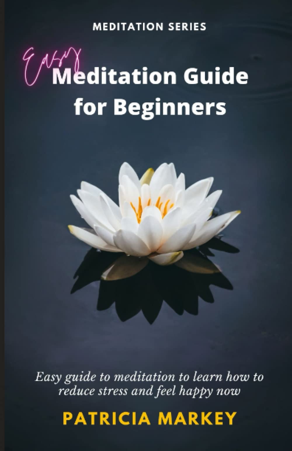 Easy Meditation Guide for Beginners: Easy guide to meditation to learn ...
