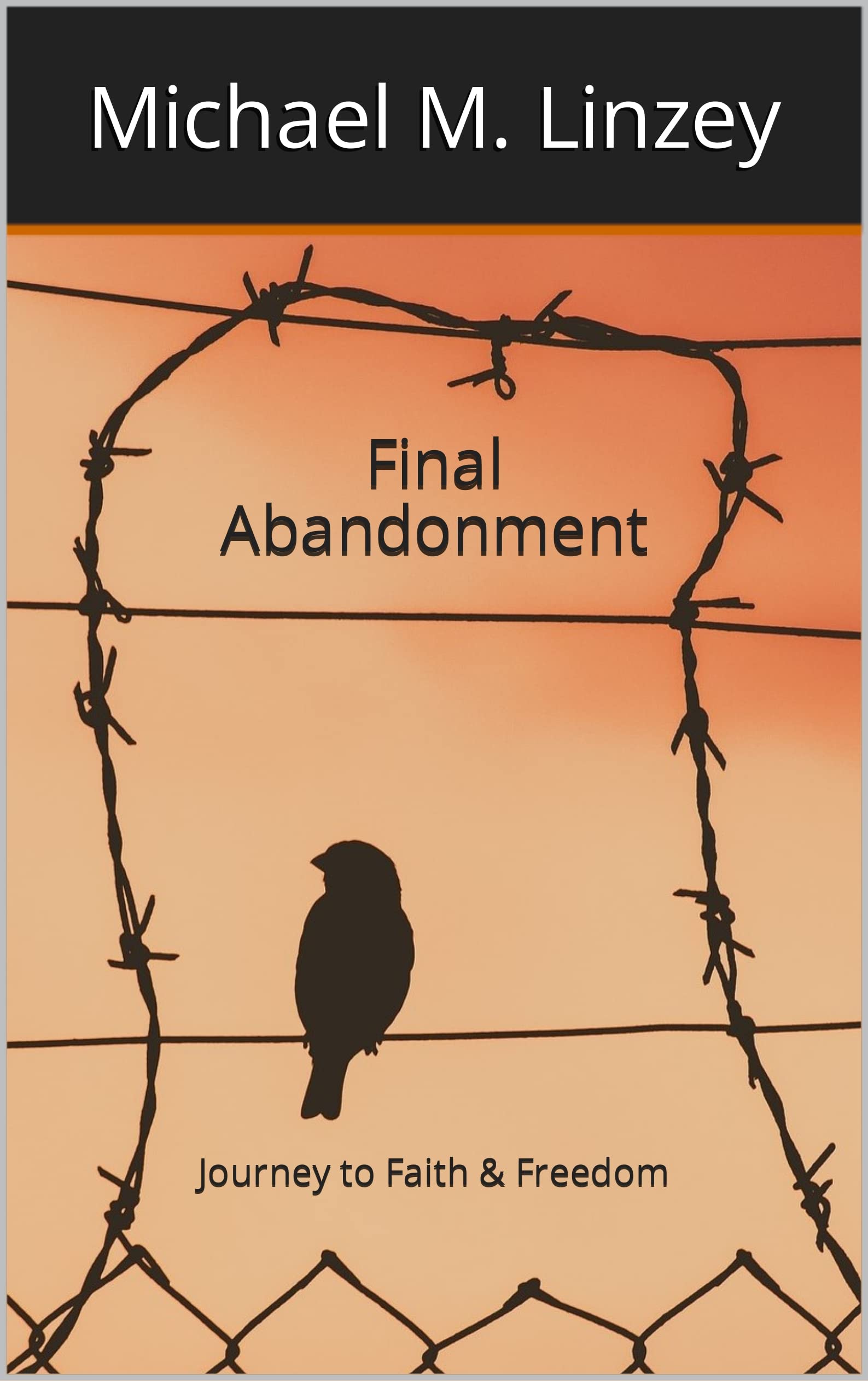 Final Abandonment by Michael E Linzey | Goodreads
