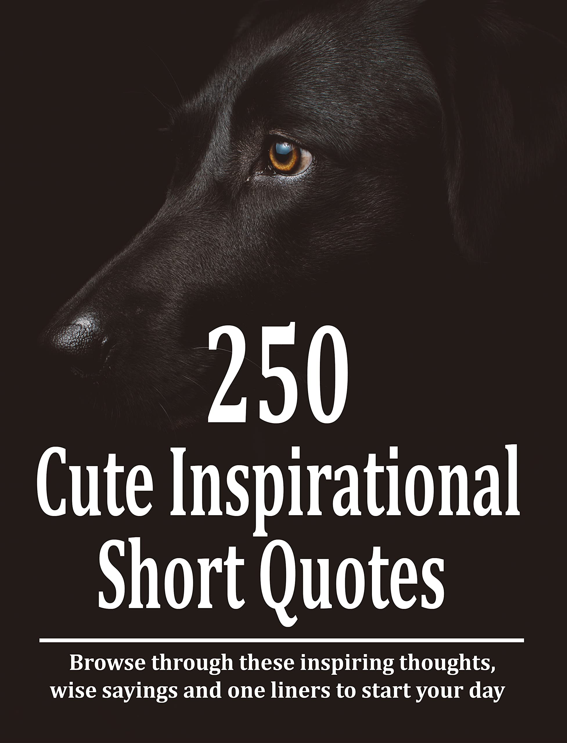 250 Cute Inspirational Short Quotes: Browse Through These Inspiring ...