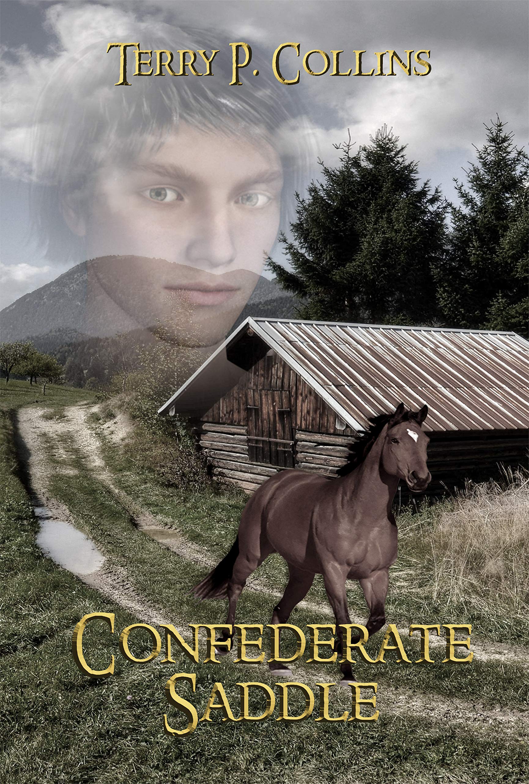 Confederate Saddle by Terry P. Collins | Goodreads