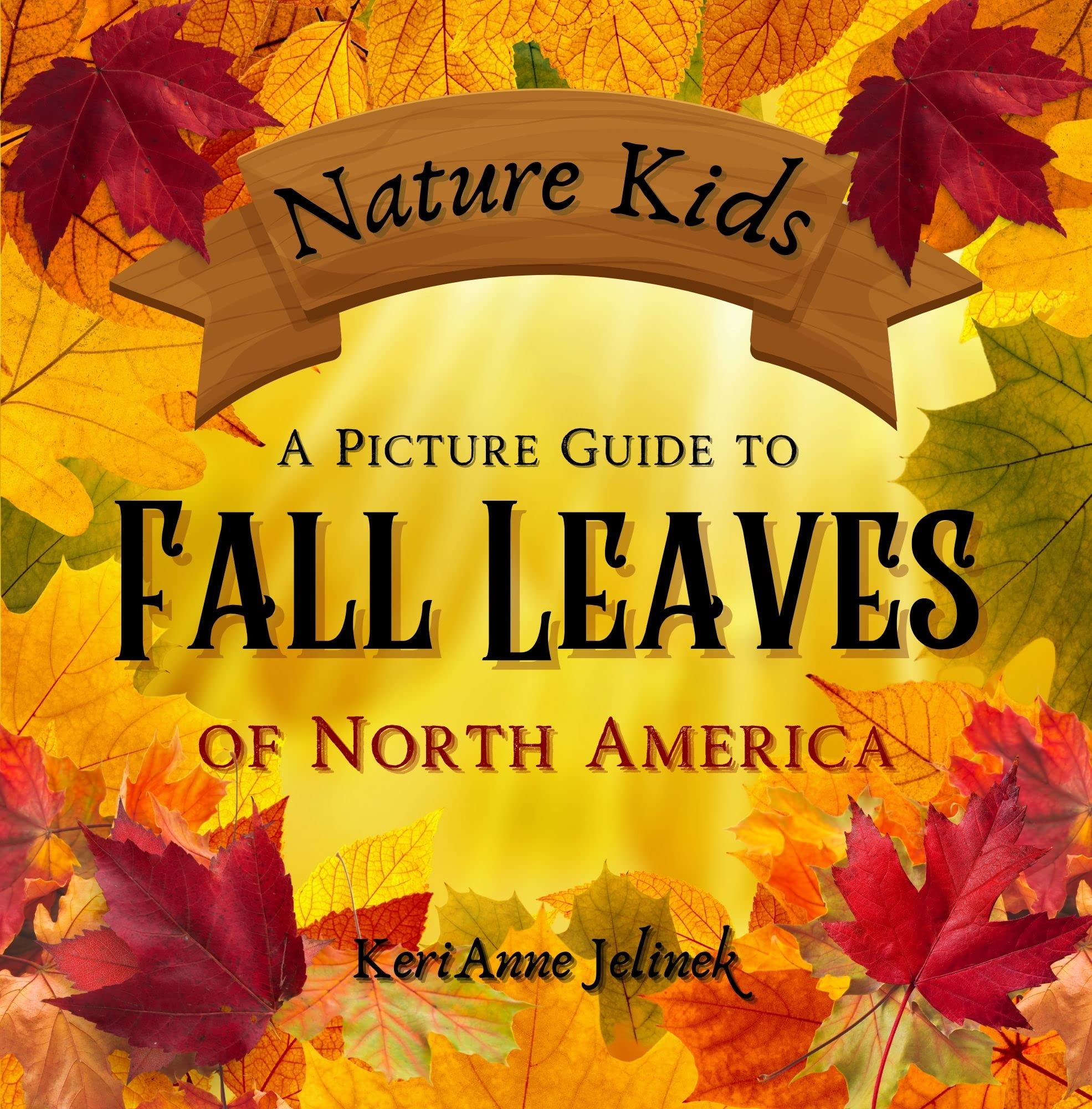 A Picture Guide to Fall Leaves of North America - Fall Leaves of North ...