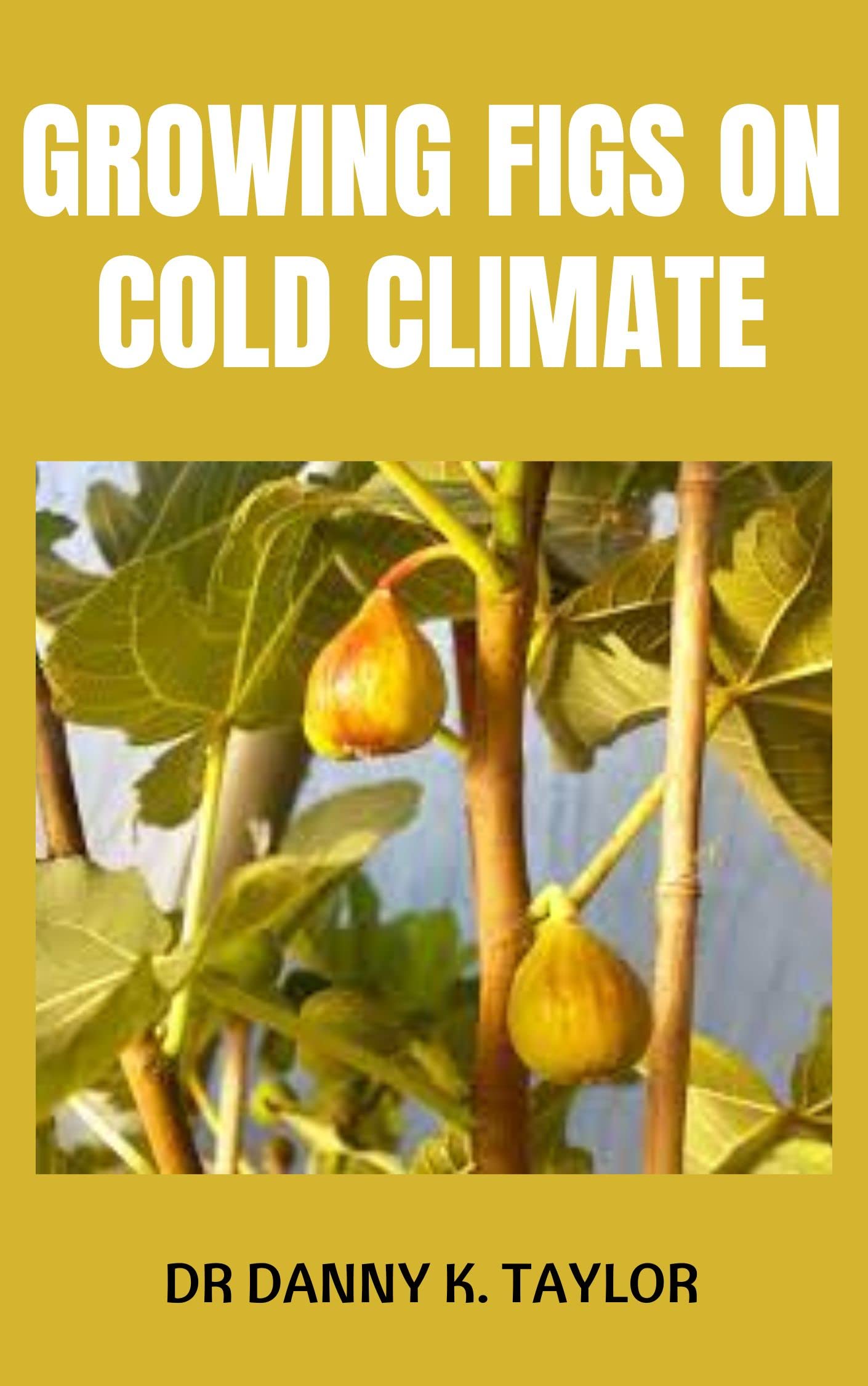 GROWING FIGS ON COLD CLIMATE: Beginners Guide To Growing Figs In Colder ...