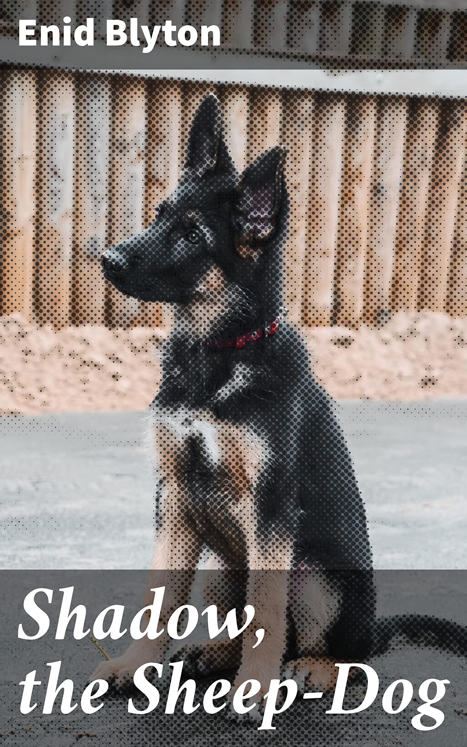 Shadow, the Sheep-Dog: An Endearing Tale of Loyalty and Adventure in ...