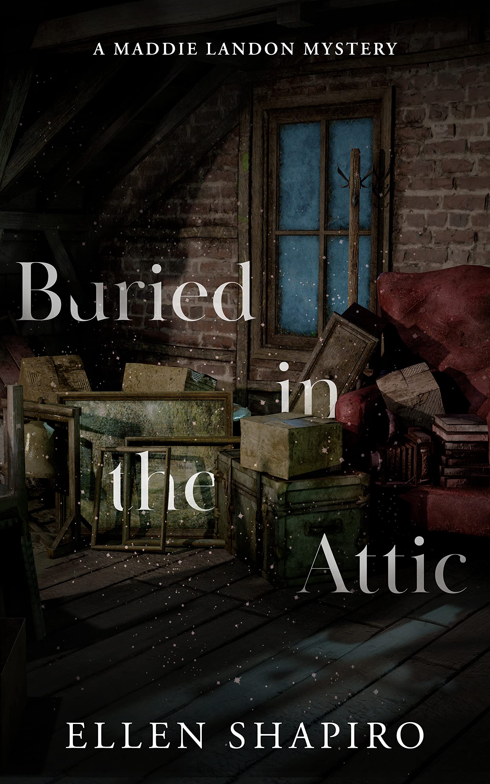 Buried in the Attic: A Fast Paced Murder Mystery by Ellen Shapiro ...