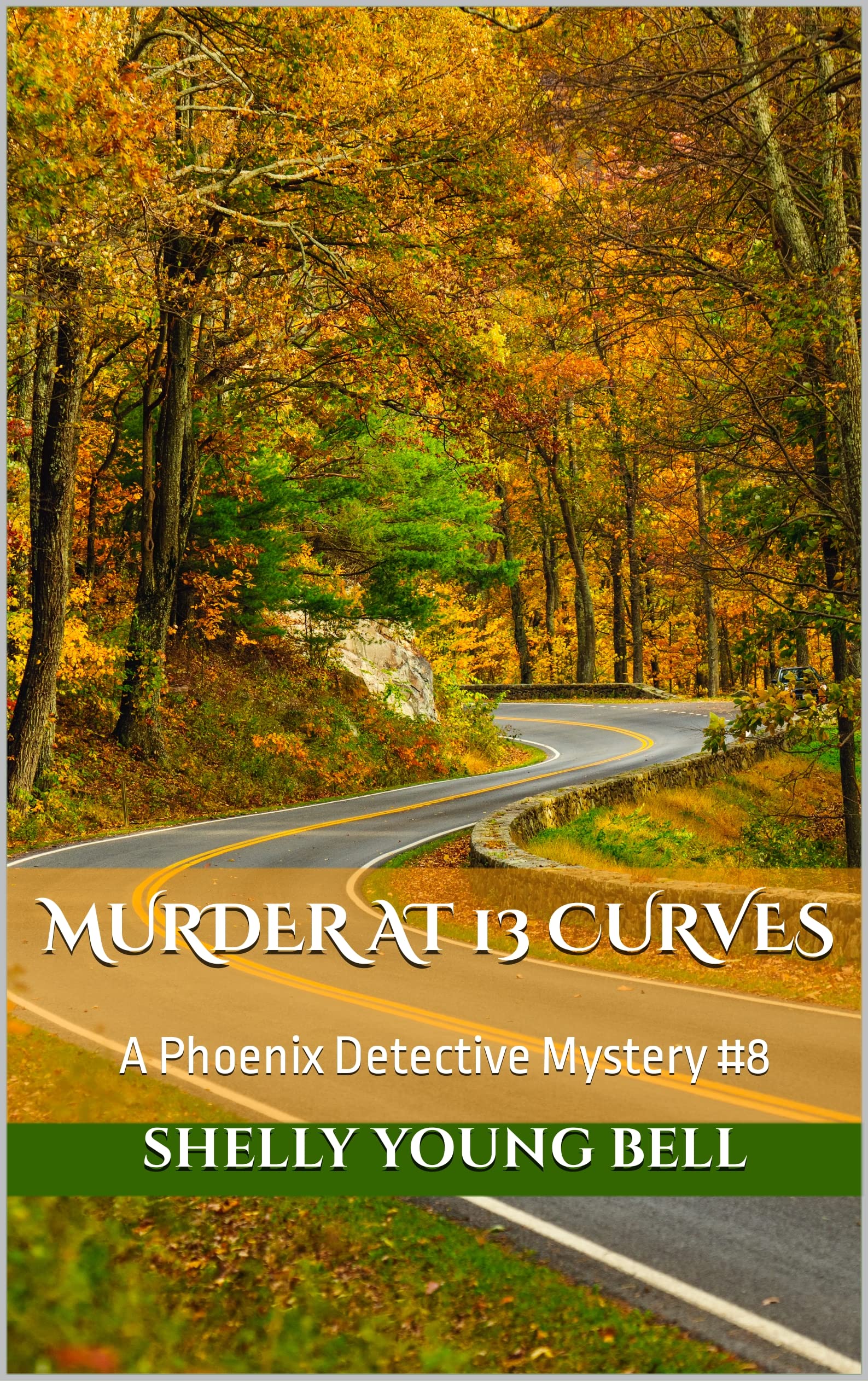 Murder at 13 Curves: A Phoenix Detective Mystery #8 by Shelly Young ...