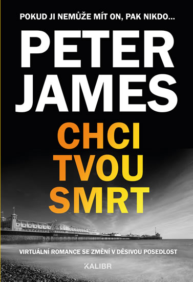 Chci tvou smrt (Superintendent Roy Grace #10) by Peter James | Goodreads