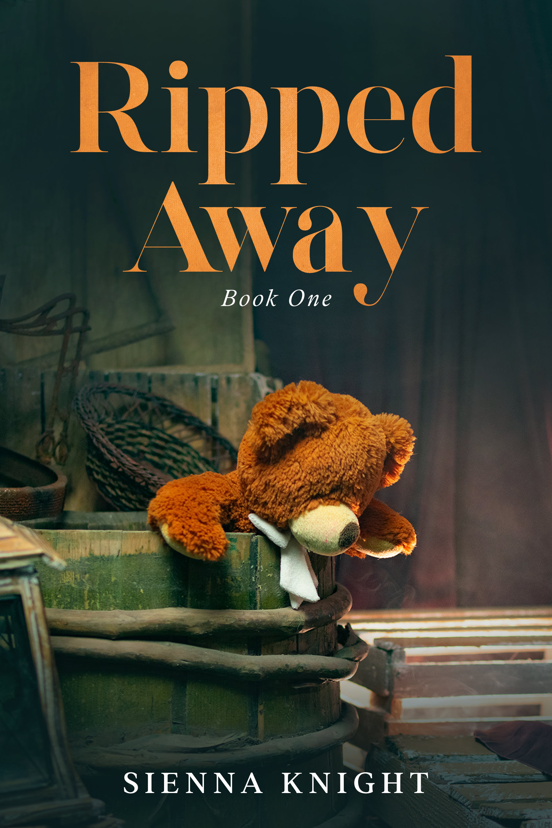 Ripped Away - Book One: The Support Group by Sienna Knight | Goodreads