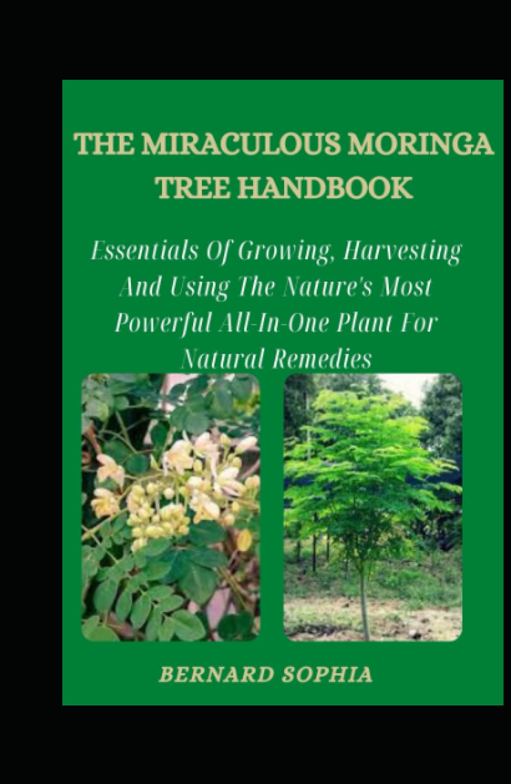 The Miraculous Moringa Tree Handbook: Essentials Of Growing, Harvesting ...