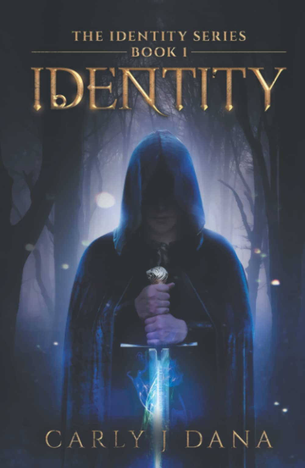 Identity (The Identity Series) by Carly J Dana | Goodreads