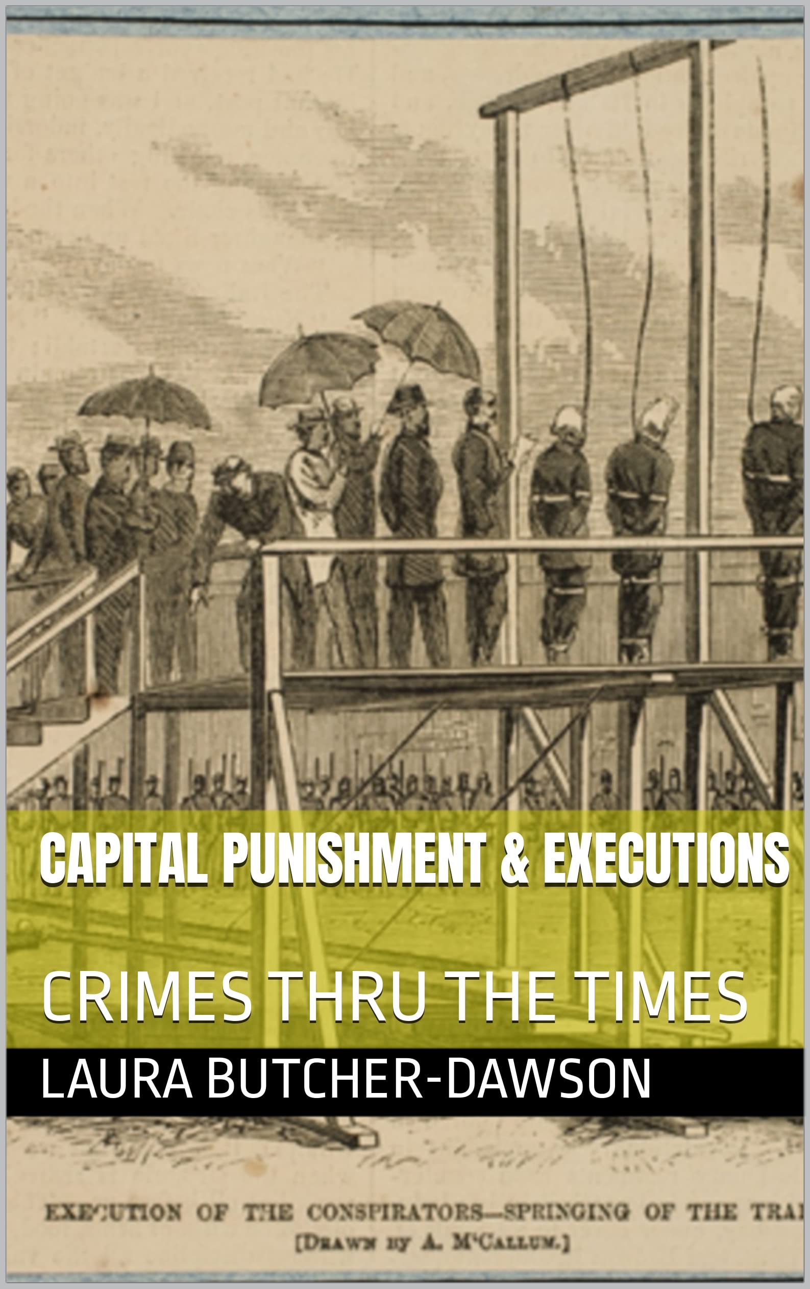 CAPITAL PUNISHMENT & EXECUTIONS : CRIMES THRU THE TIMES by Laura ...