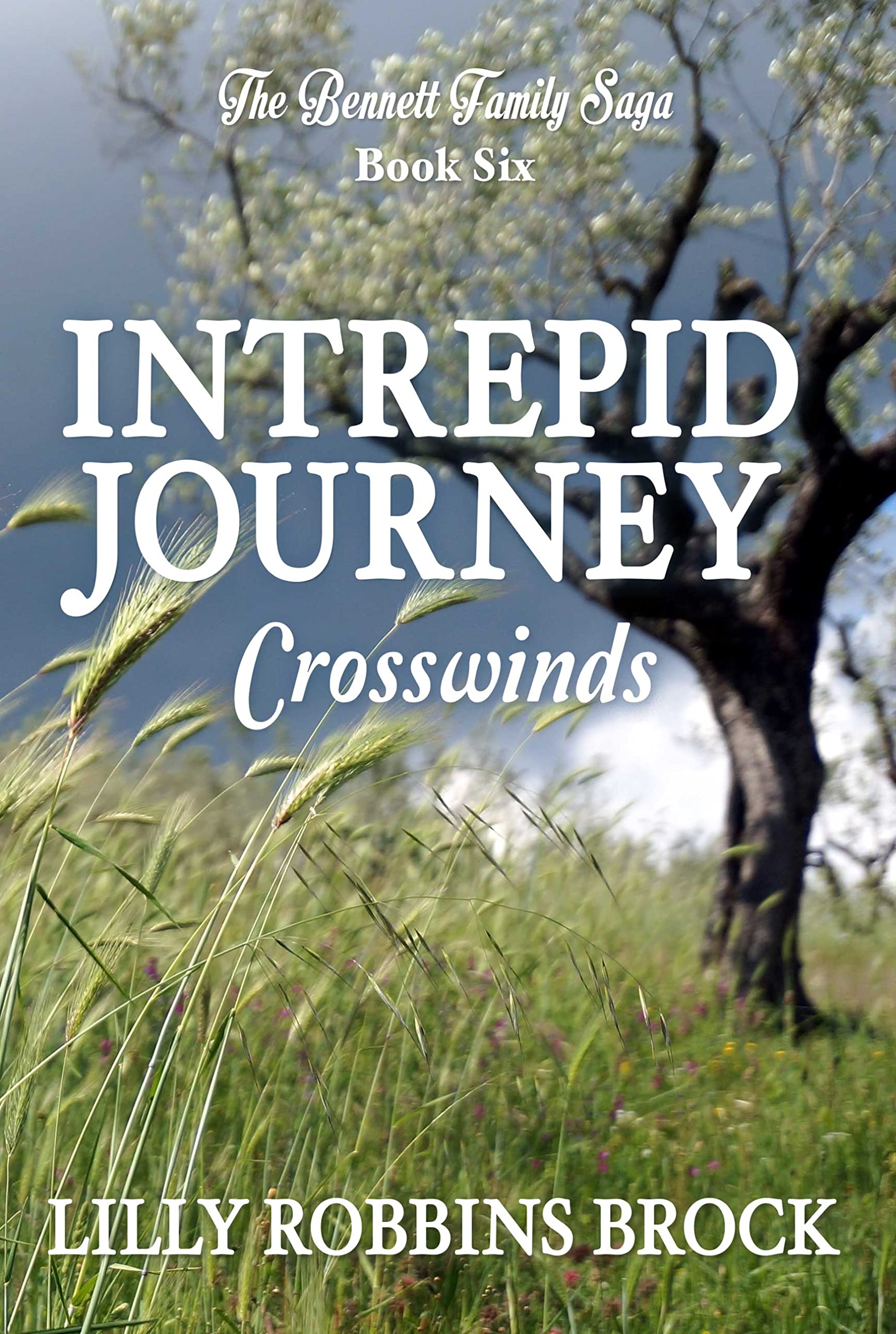 Intrepid Journey: Book Six: Crosswinds (INTREPID JOURNEY by Lilly Brock ...